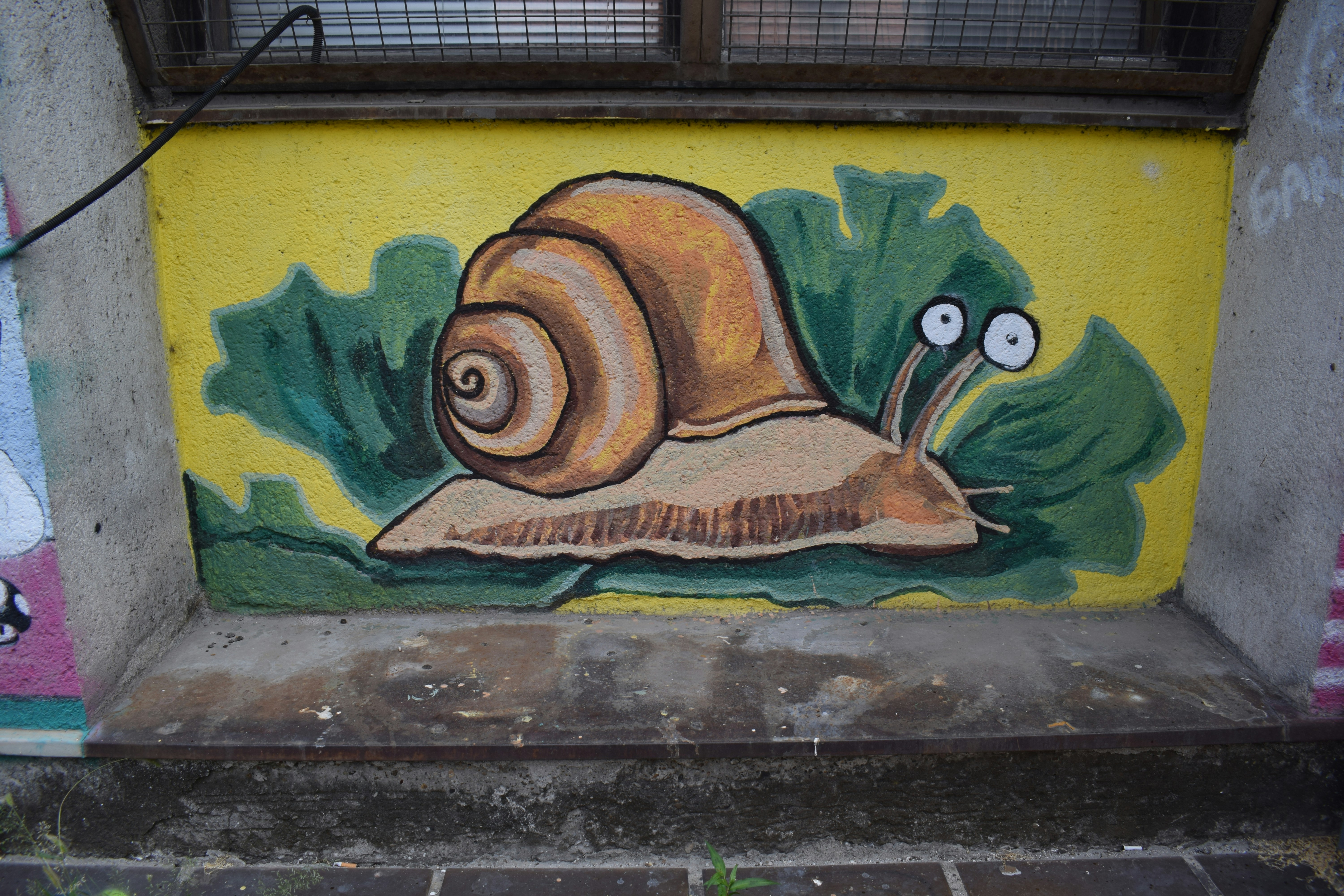 Whimsical Snail on a Vibrant Canvas