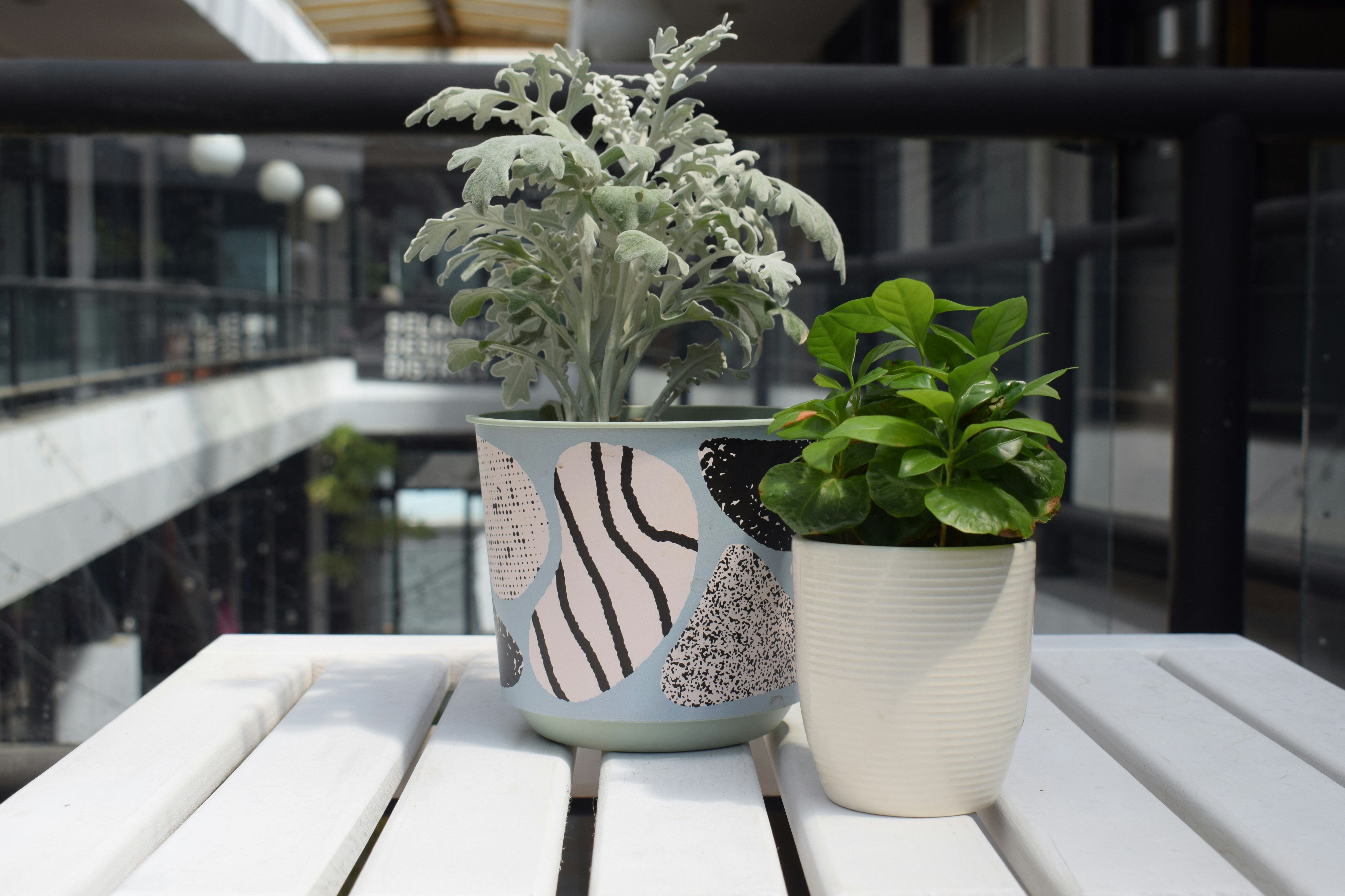 Botanical Harmony: A Study in Greenery and Design