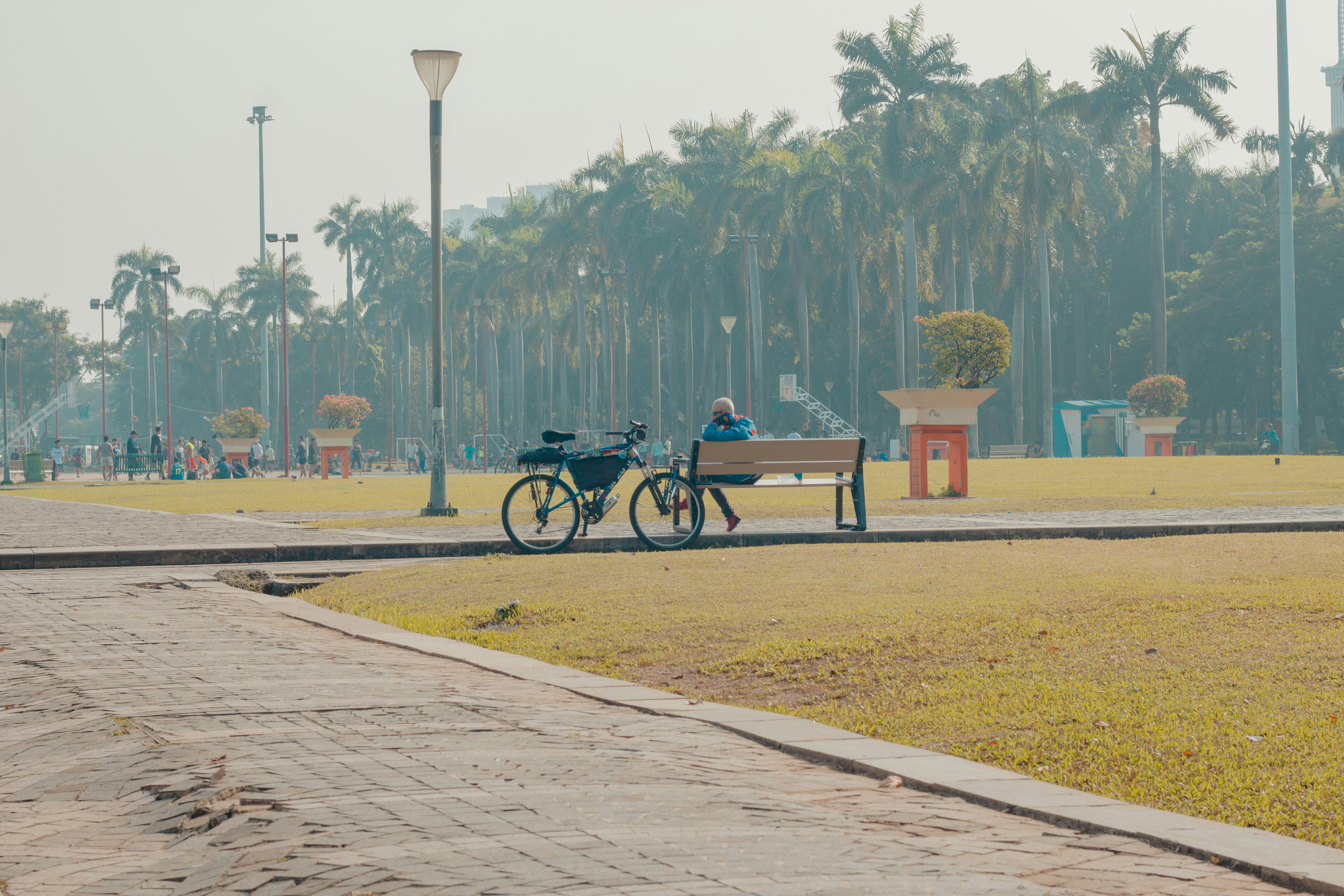 Quiet Moments in Urban Greenery