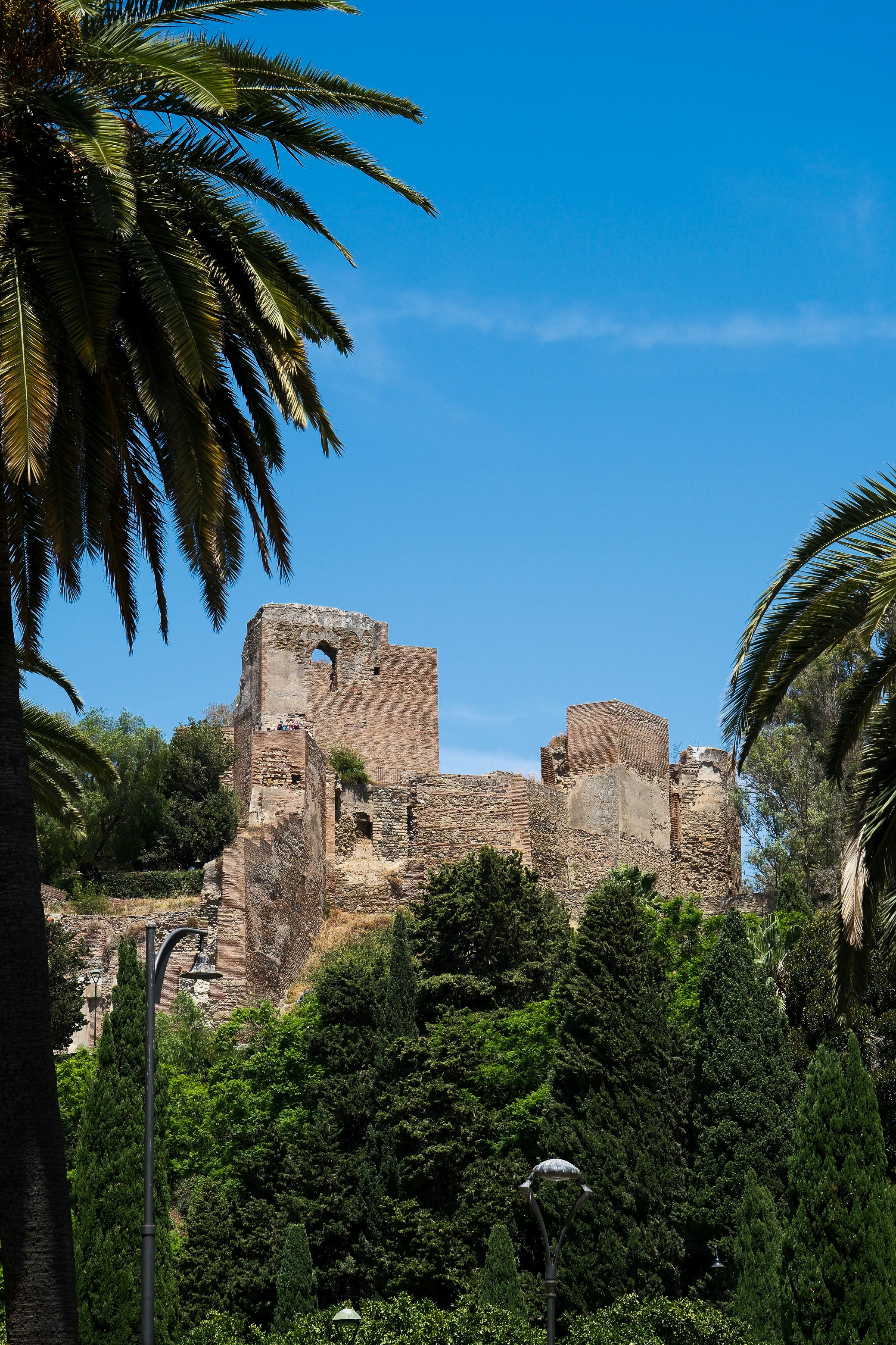 Ancient architecture sits amidst lush greenery and palm trees.