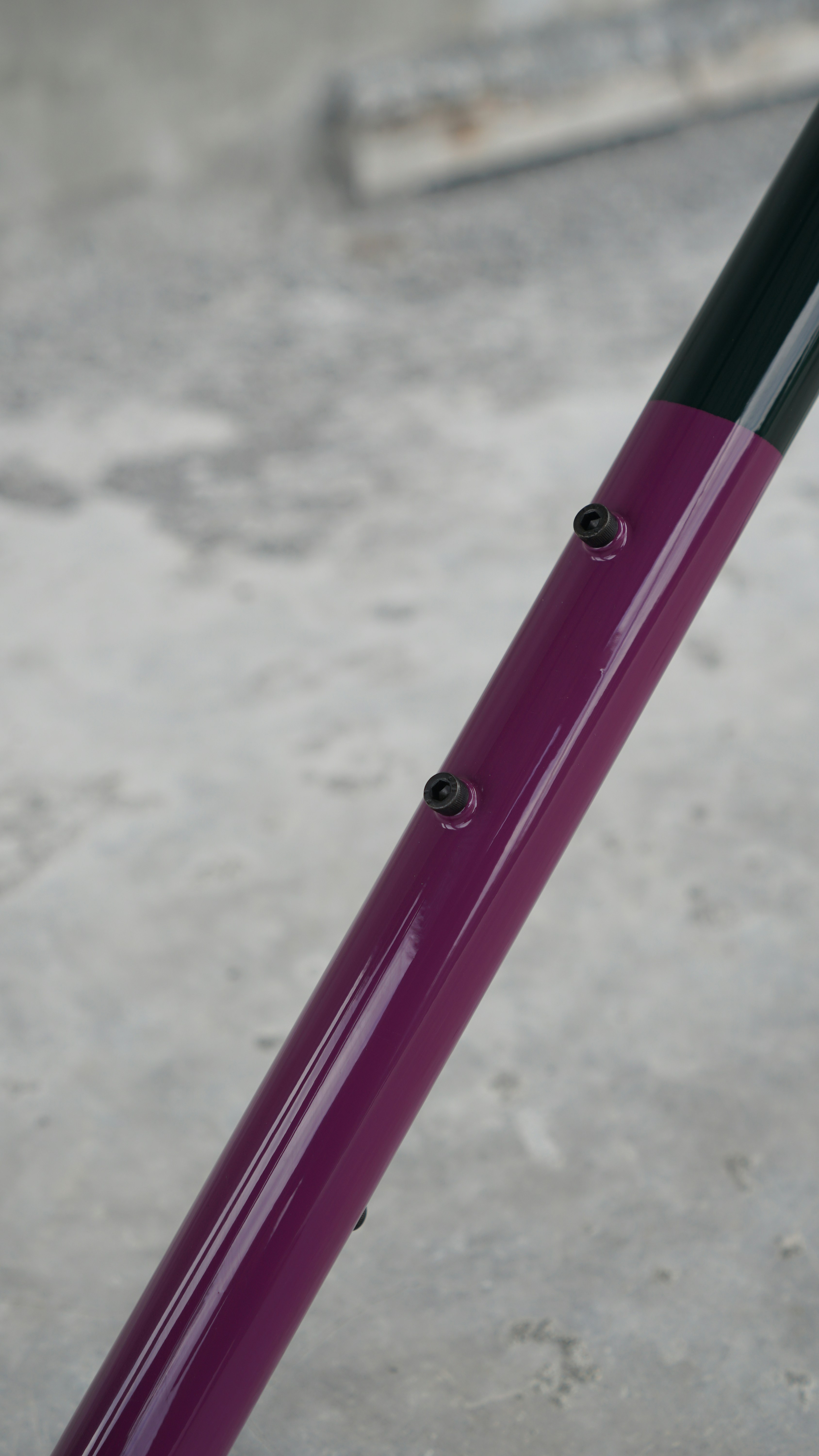 Vivid Contrast: A Study in Color and Form