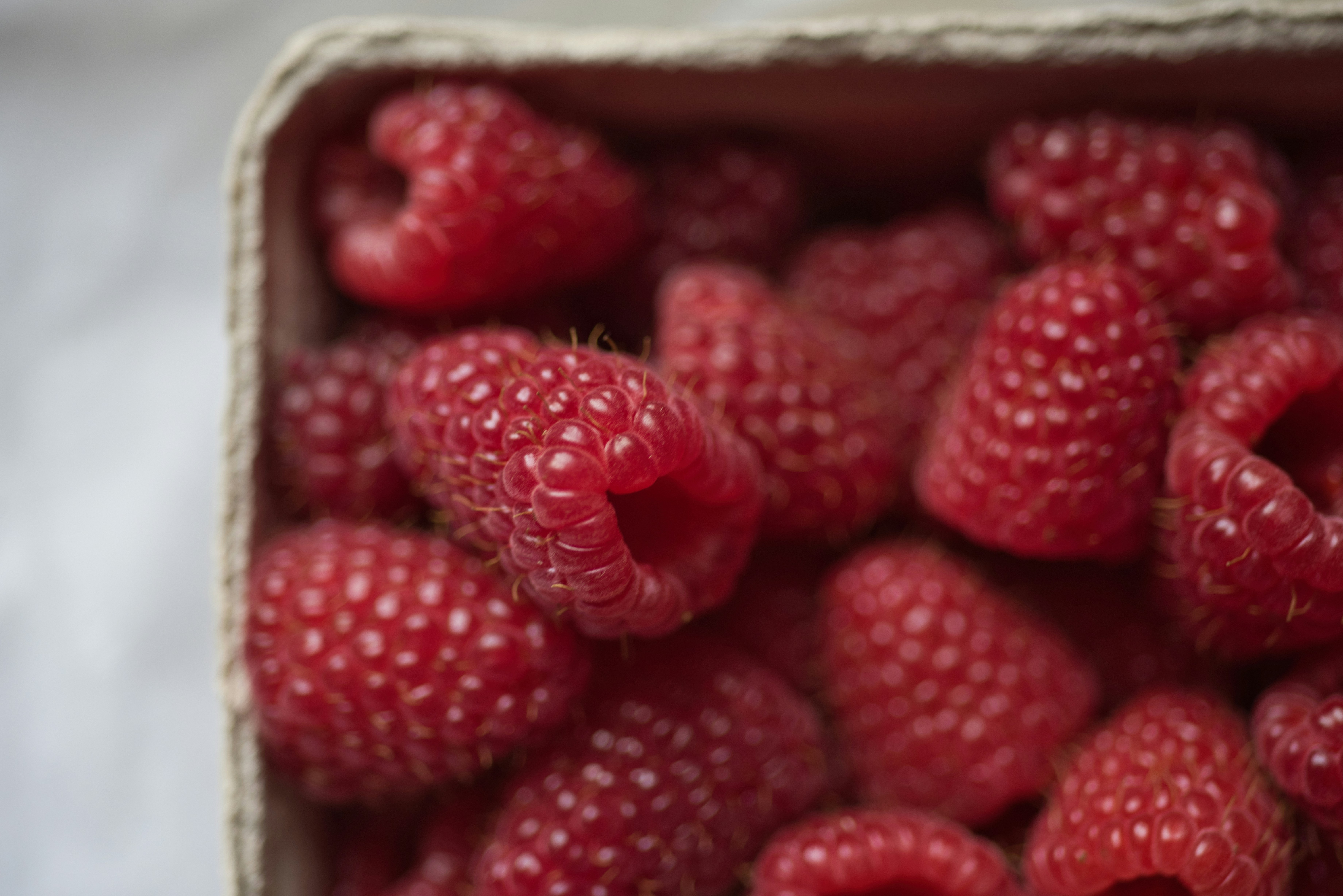 Fresh raspberries neatly packed in a small box. Healthy and colorful raspberries displayed in eco-friendly packaging.
