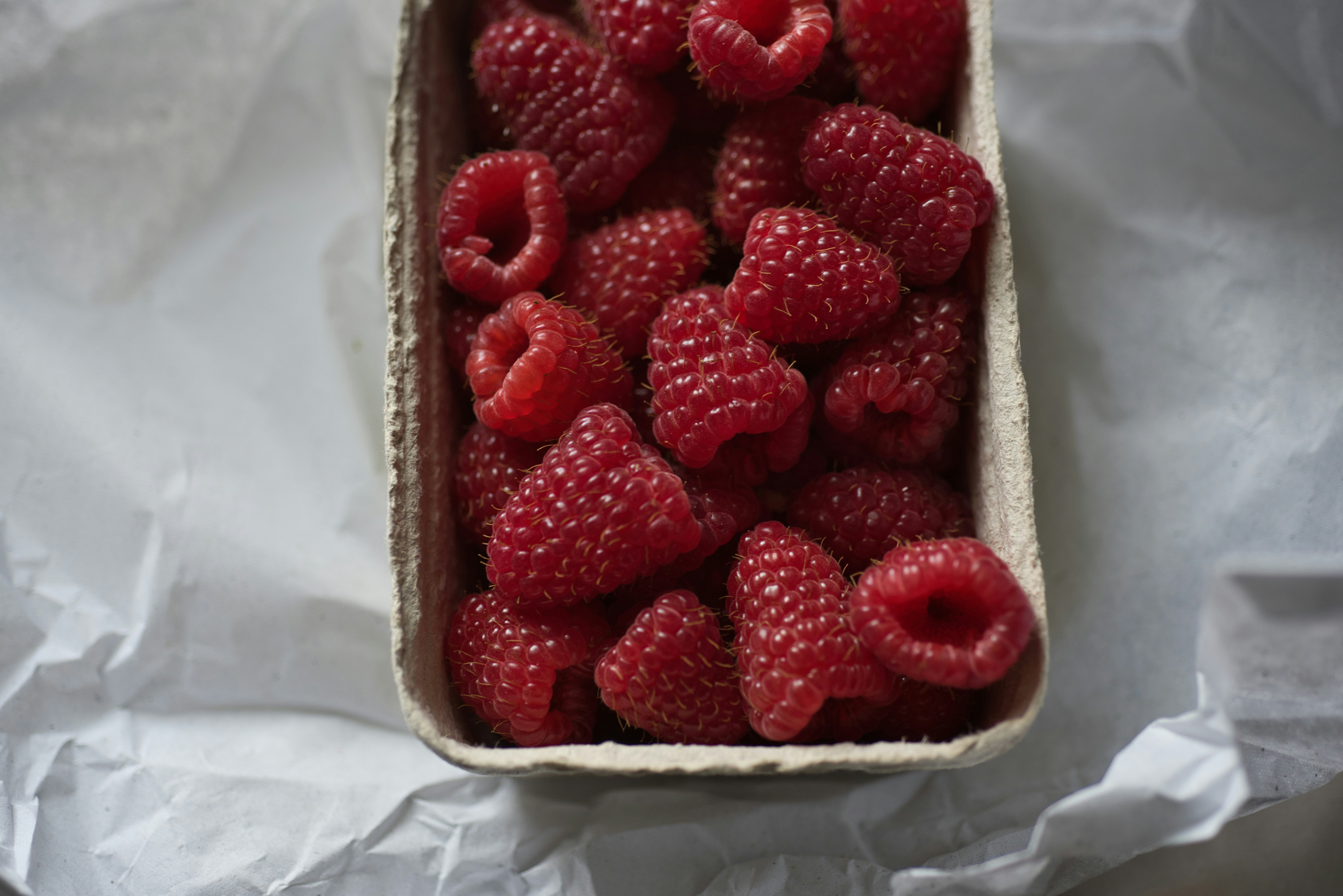 Harvested Gems: A Raspberry Collection