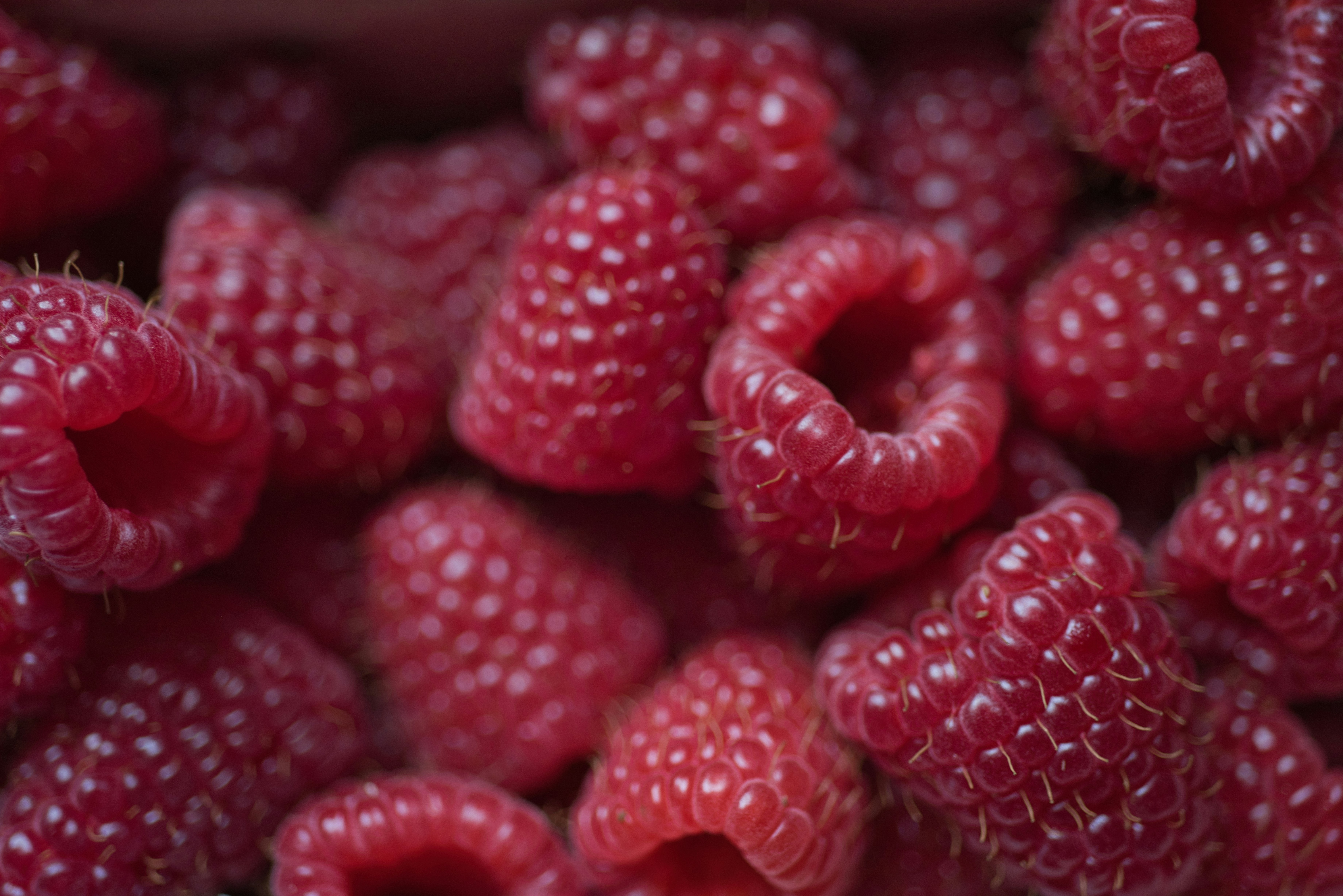 Fresh and juicy raspberries are piled together. photo – Free Summer ...