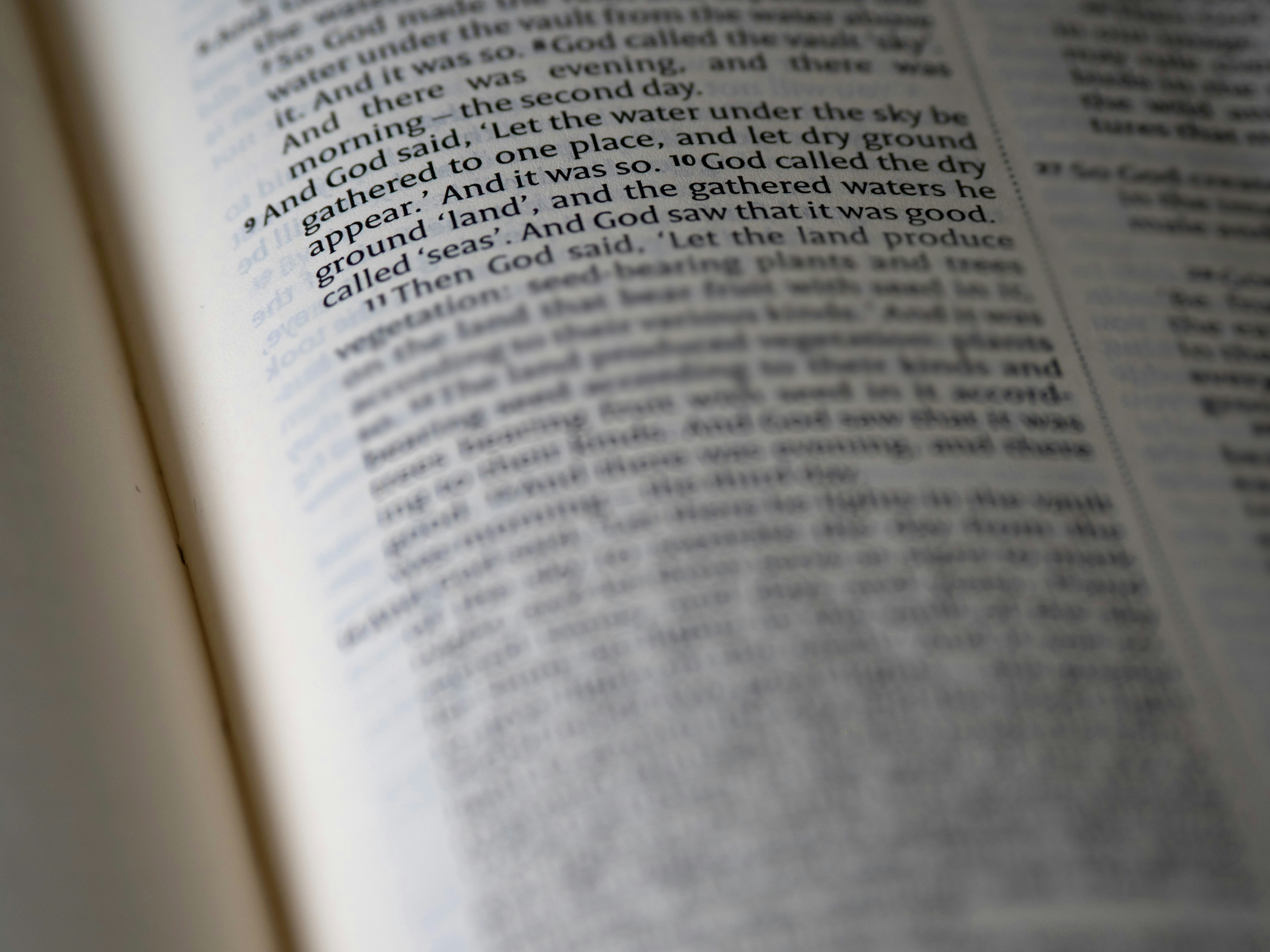 Close-up of text from a Bible, focusing on the creation narrative with highlighted words. The intricate details of the printed page are visible.