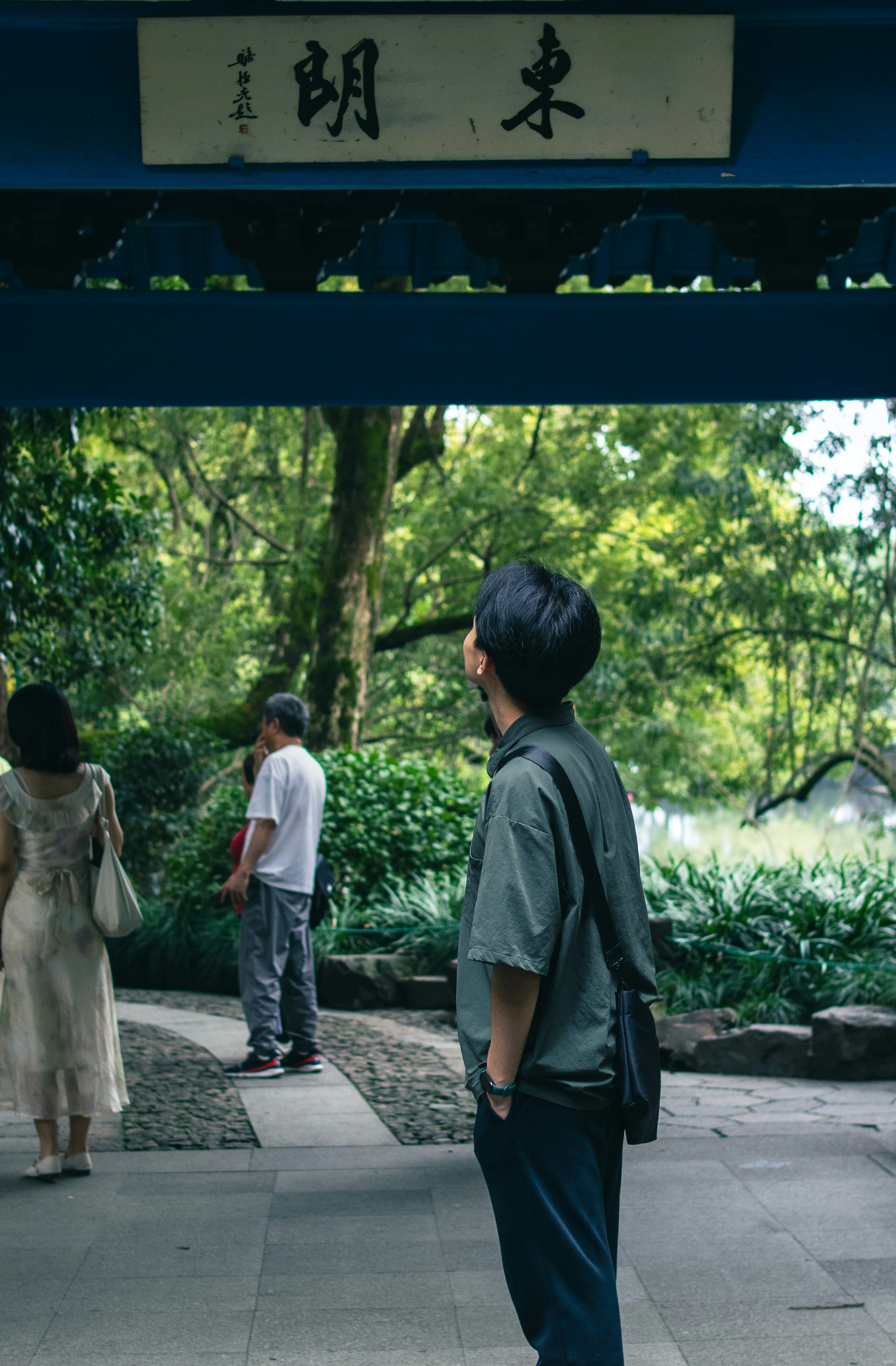 A Moment of Reflection Under the Canopy
