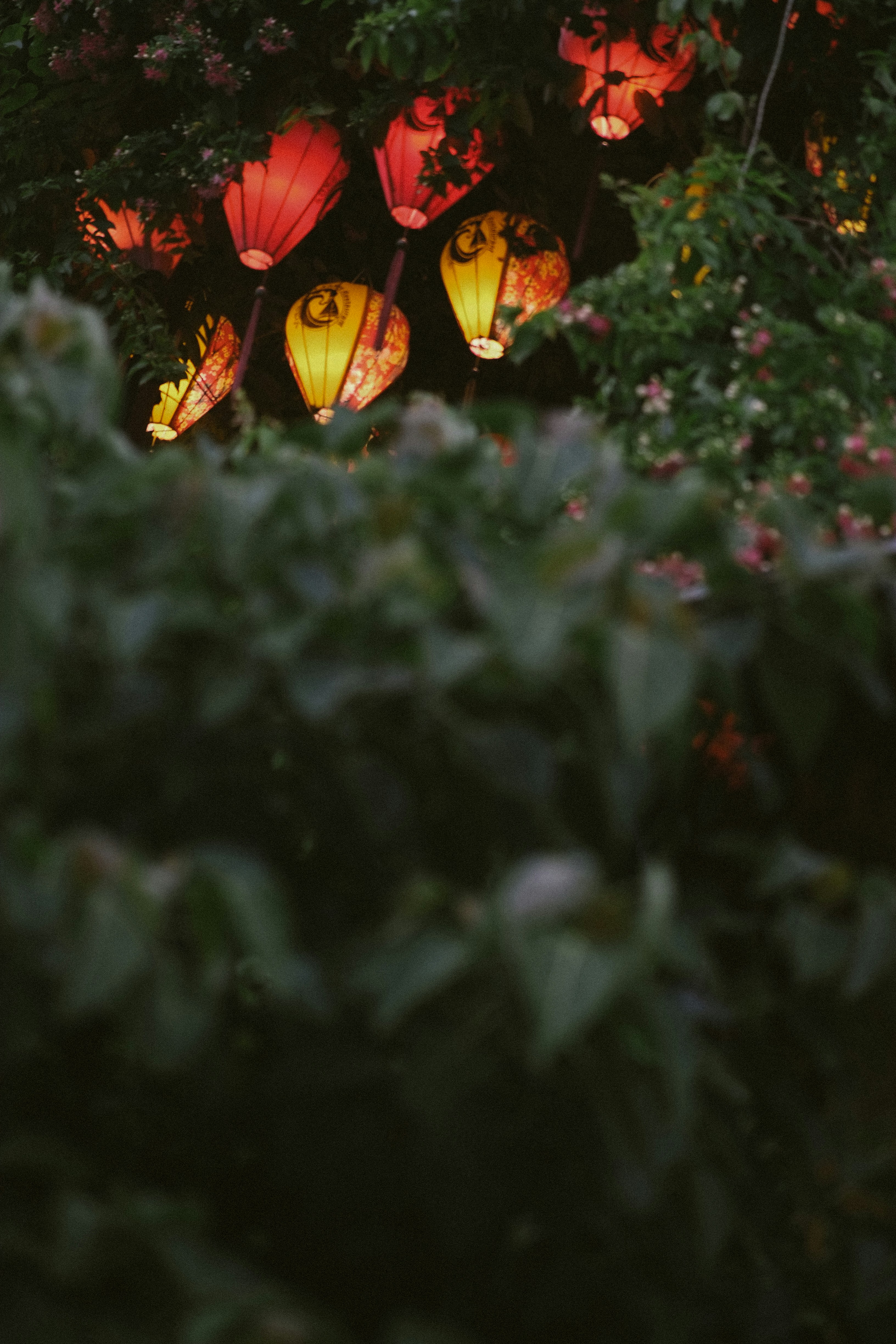 Colorful lanterns glow amidst lush green foliage.