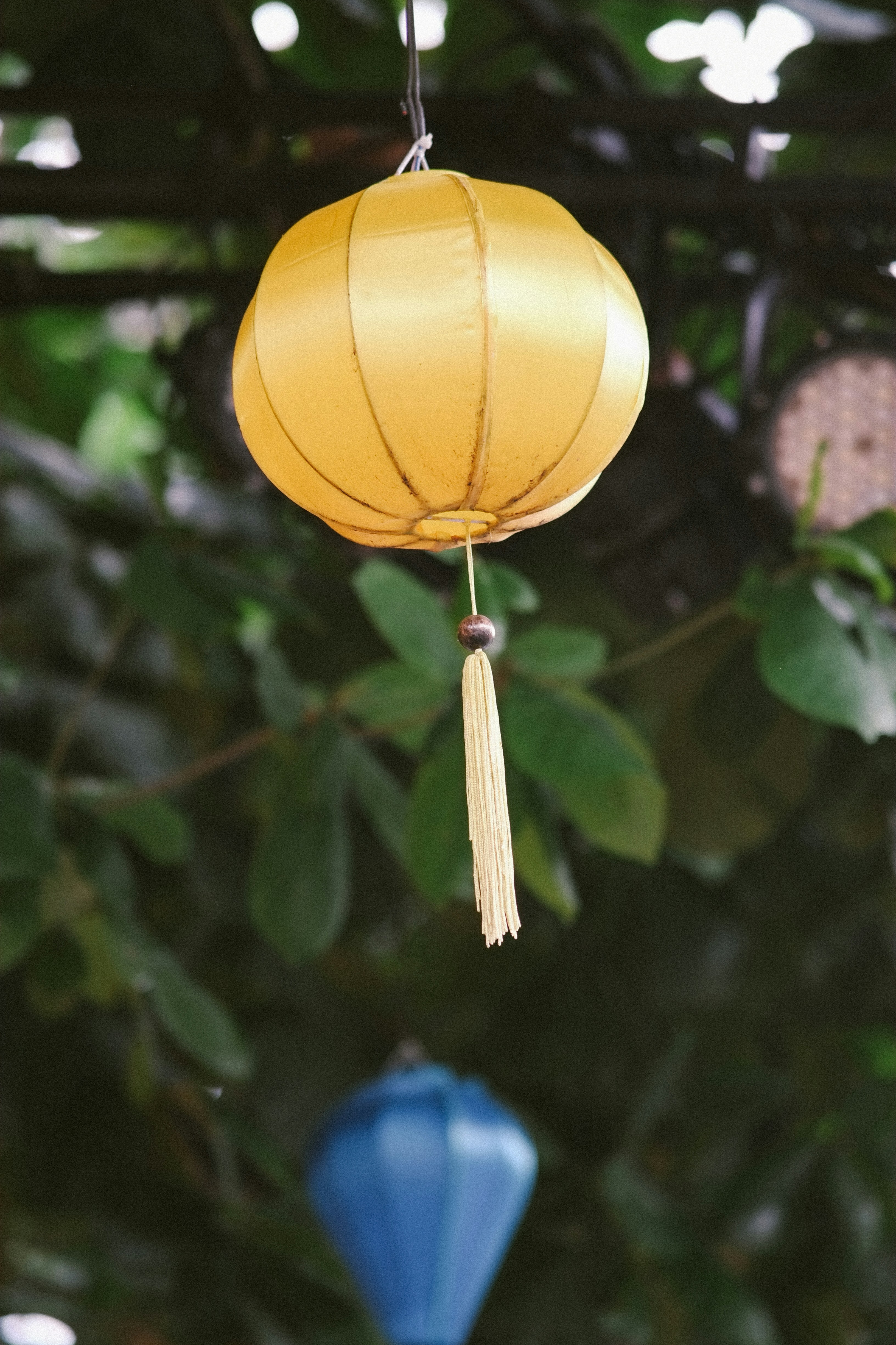 A yellow lantern hangs among some green leaves.