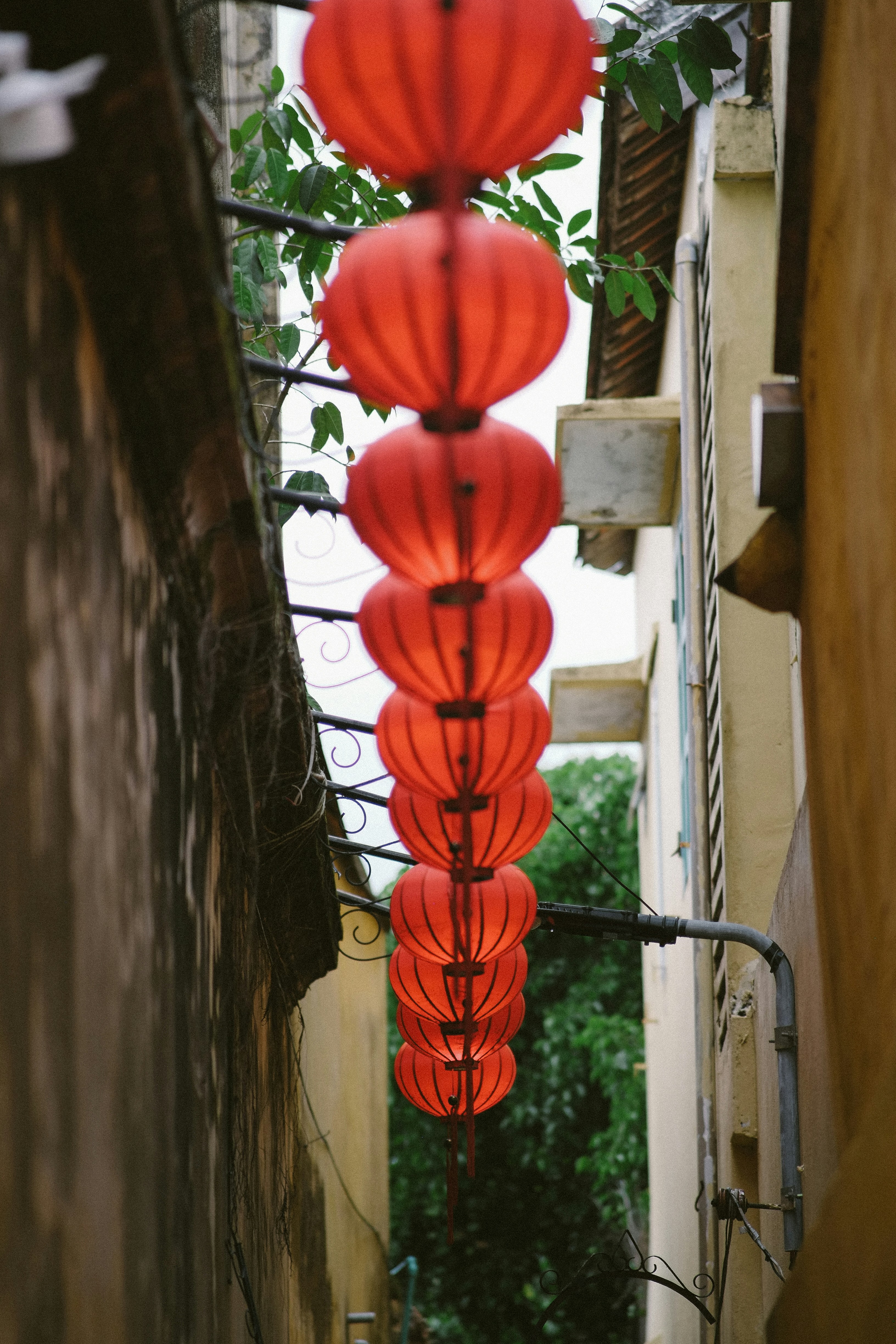 Illuminated Pathways: A Journey Through Lantern-Lit Alleys