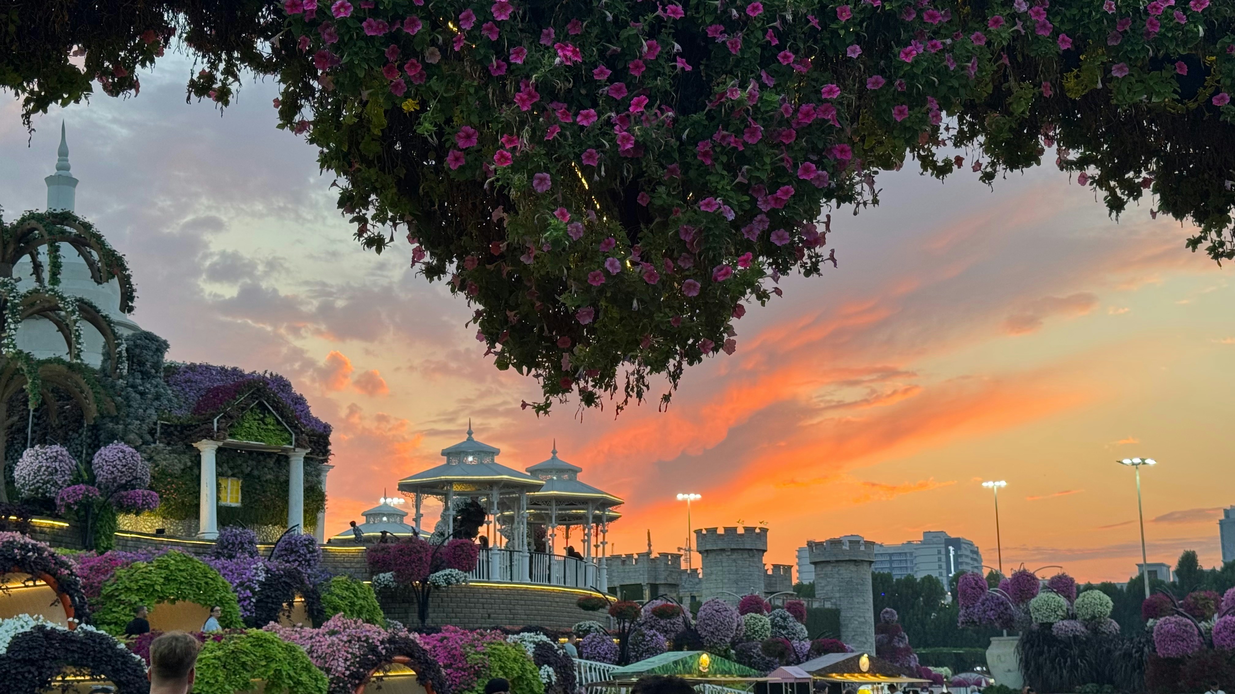 Sairam Rajeswaran (@sairamr20) | Komunitas Foto Unsplash