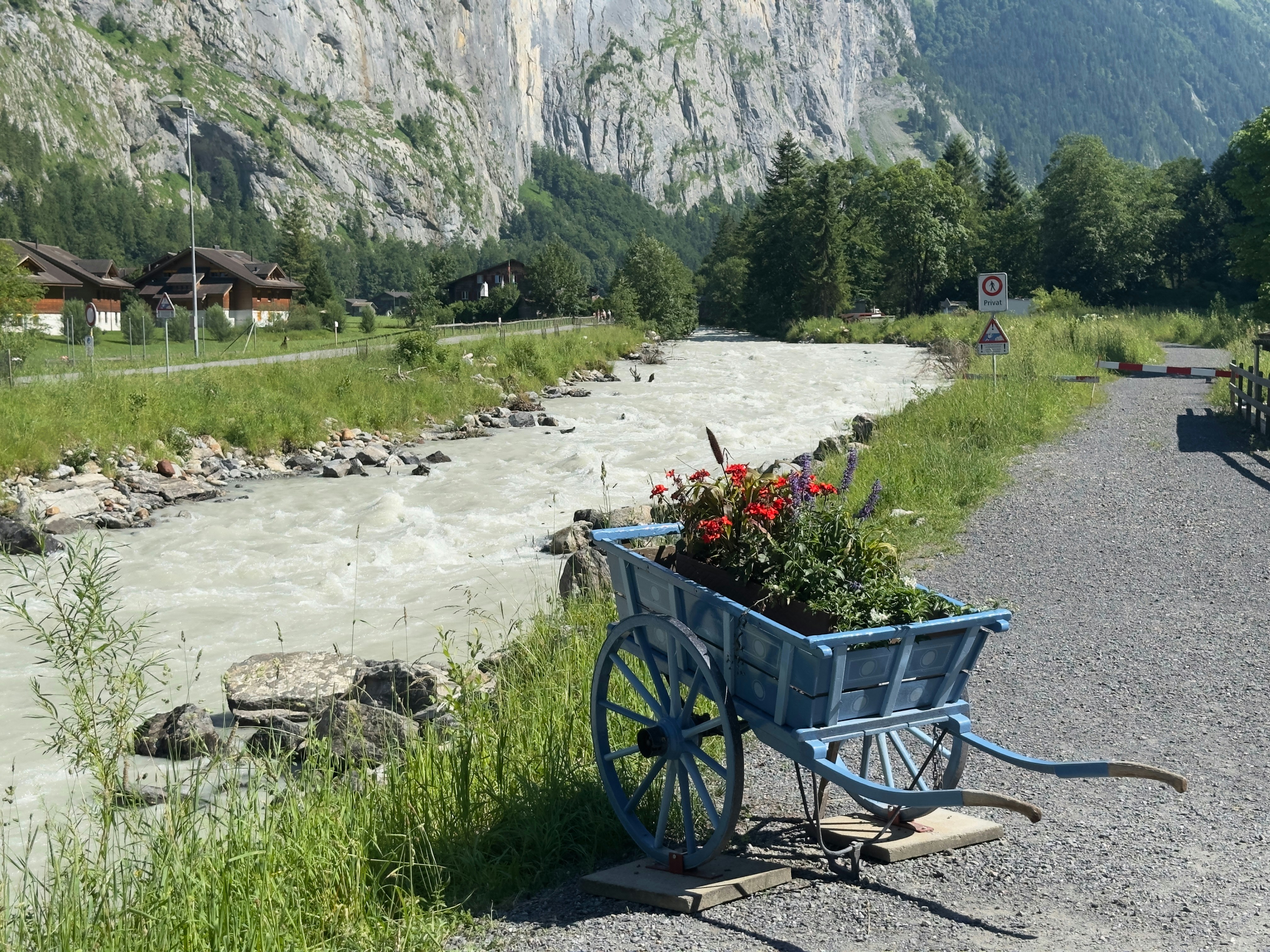 A Serene Moment by the Riverbank