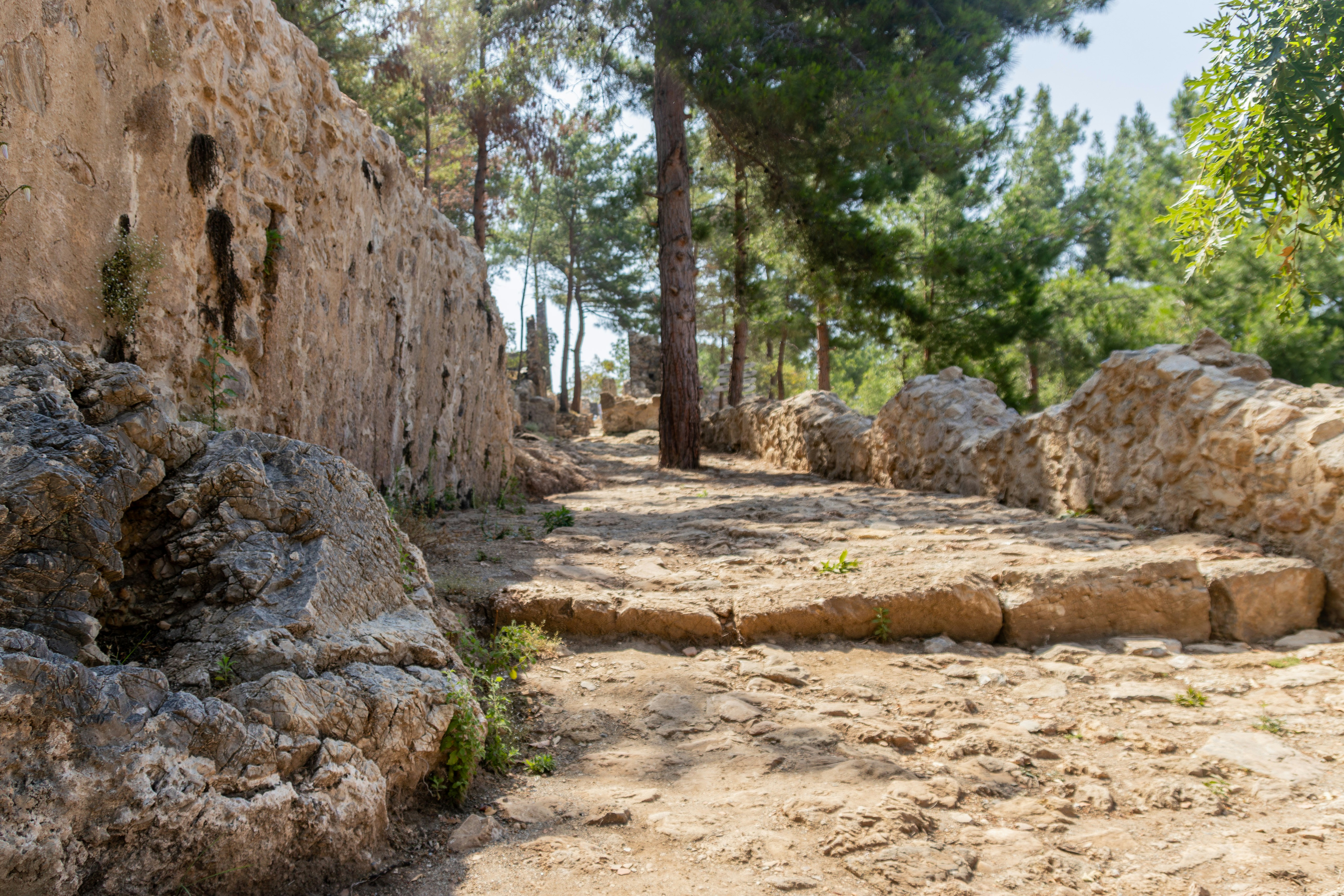 Rocky terrain leads through a sunlit forest, revealing remnants of ancient stone structures amidst lush greenery.
