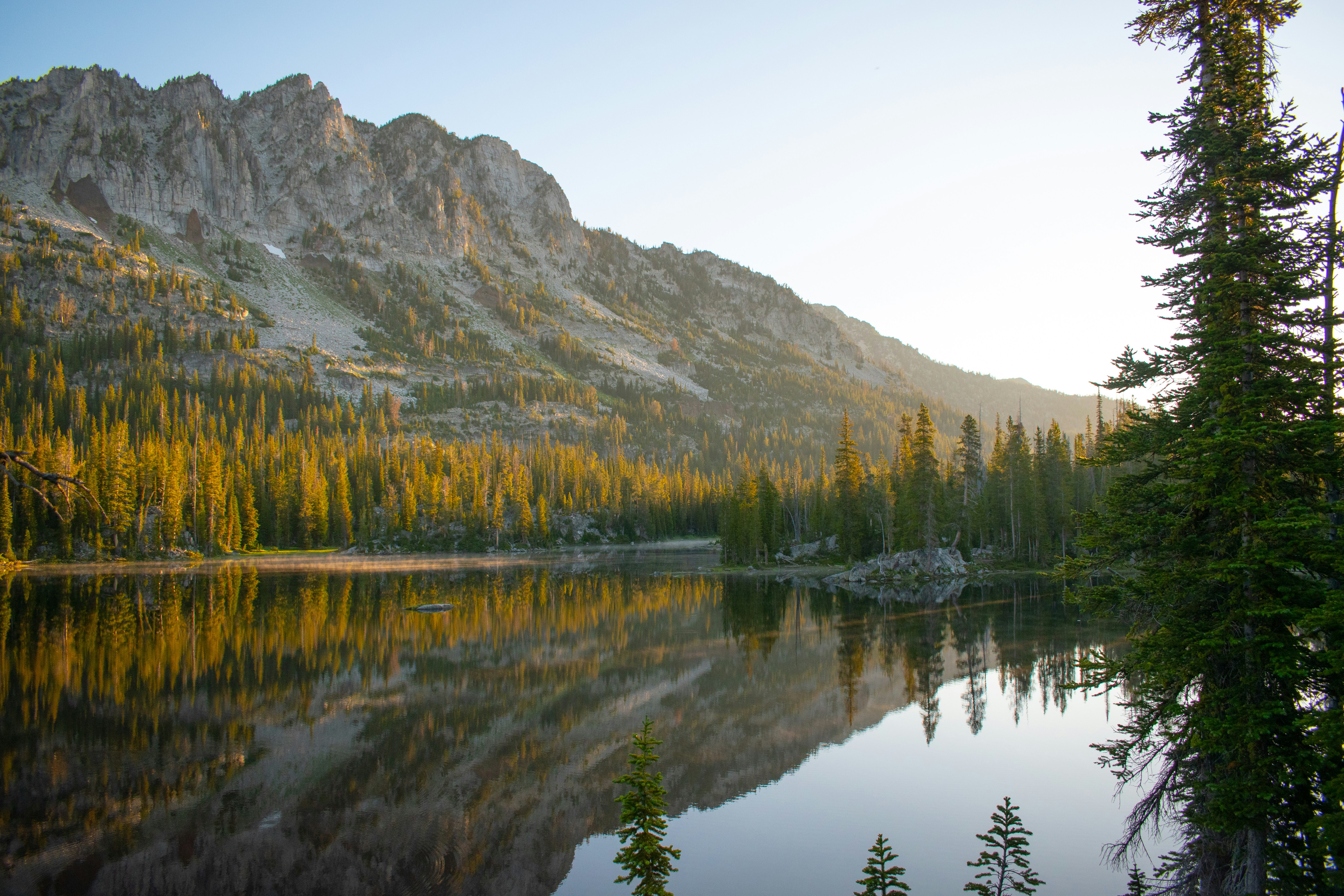 A golden morning reflection. The sun rises, casting a perfect reflection of a mountain and trees in an alpine lake in Eastern Oregon. | Mountains and trees are reflected in a calm lake.