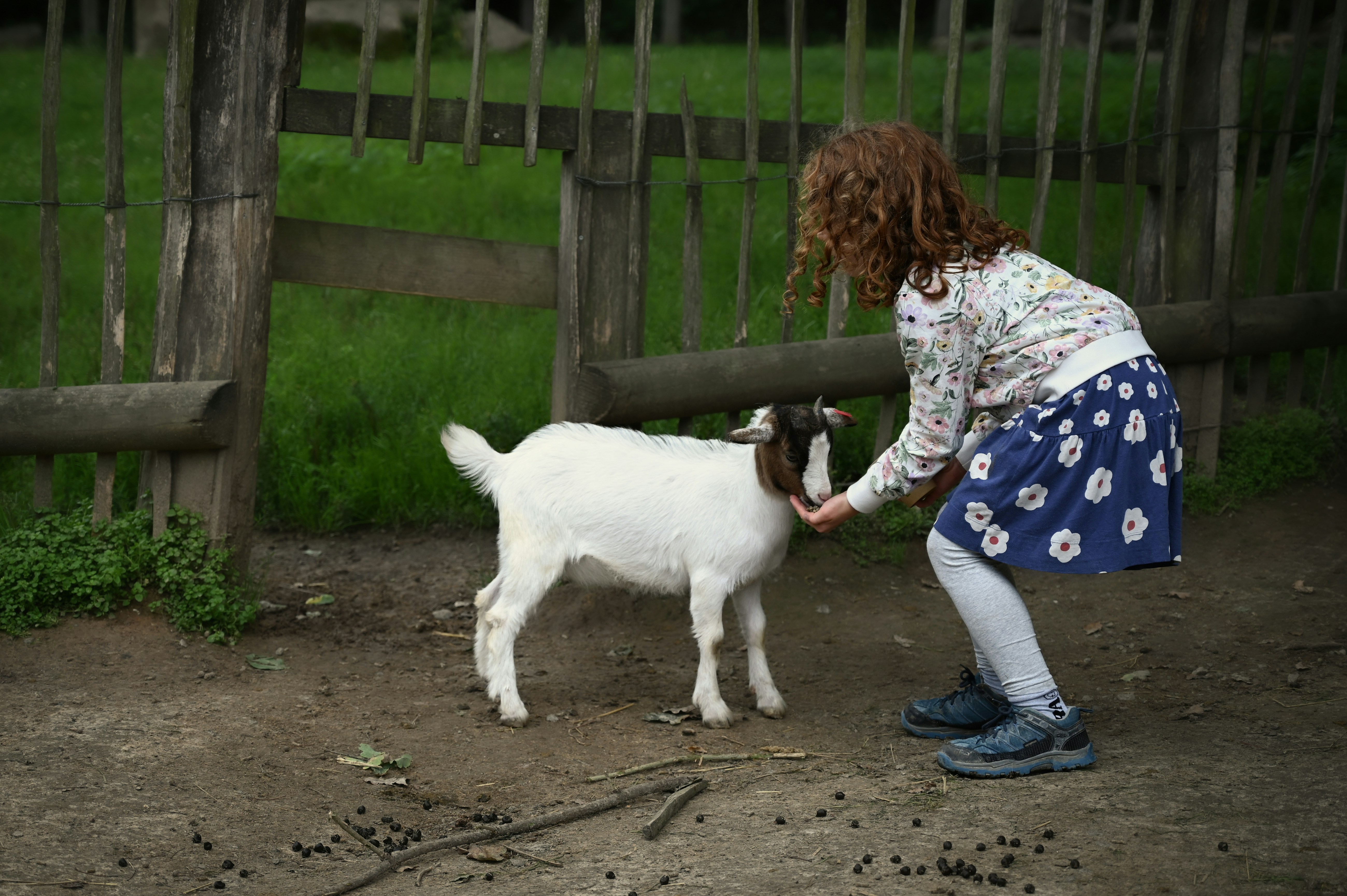 A Gentle Encounter in the Pasture