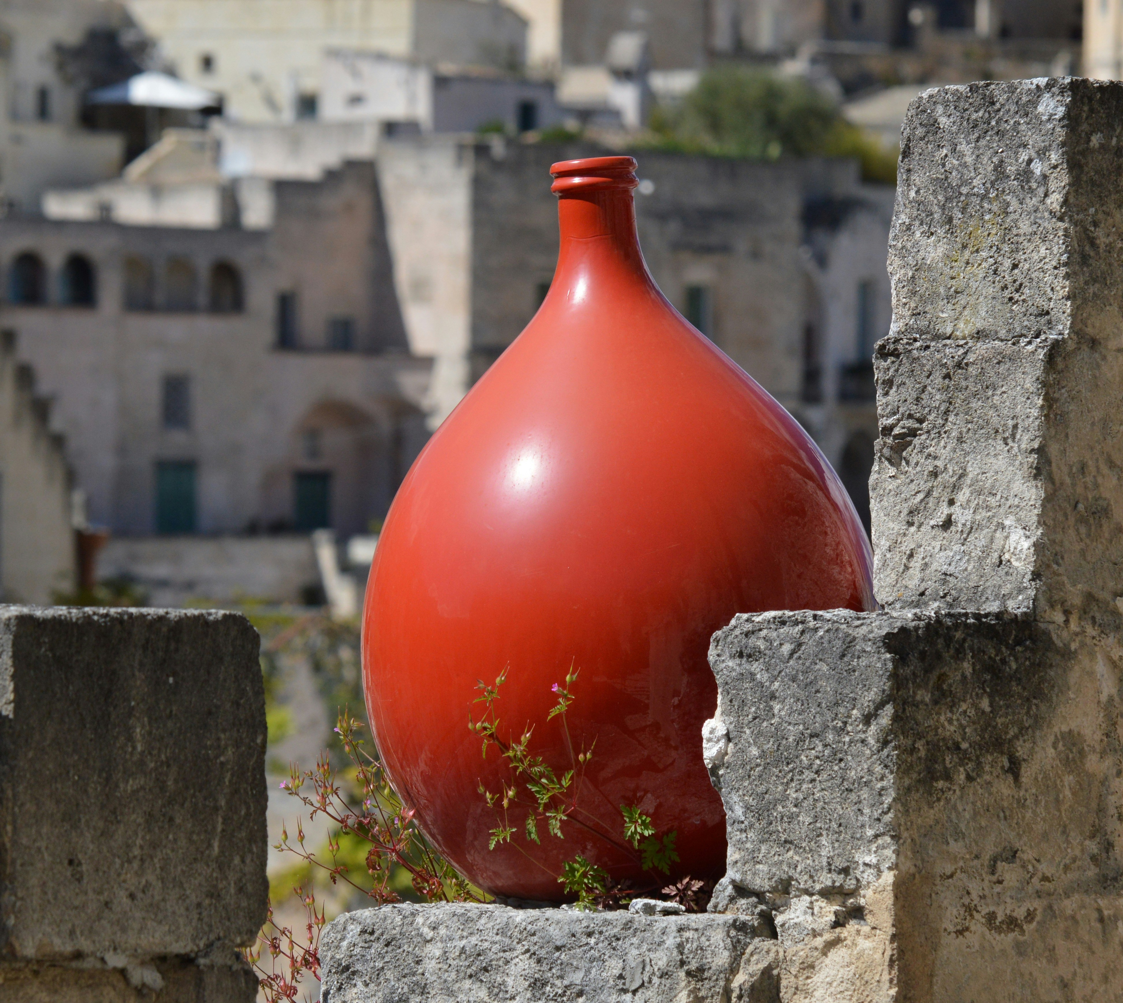 The Vibrant Essence of Tradition