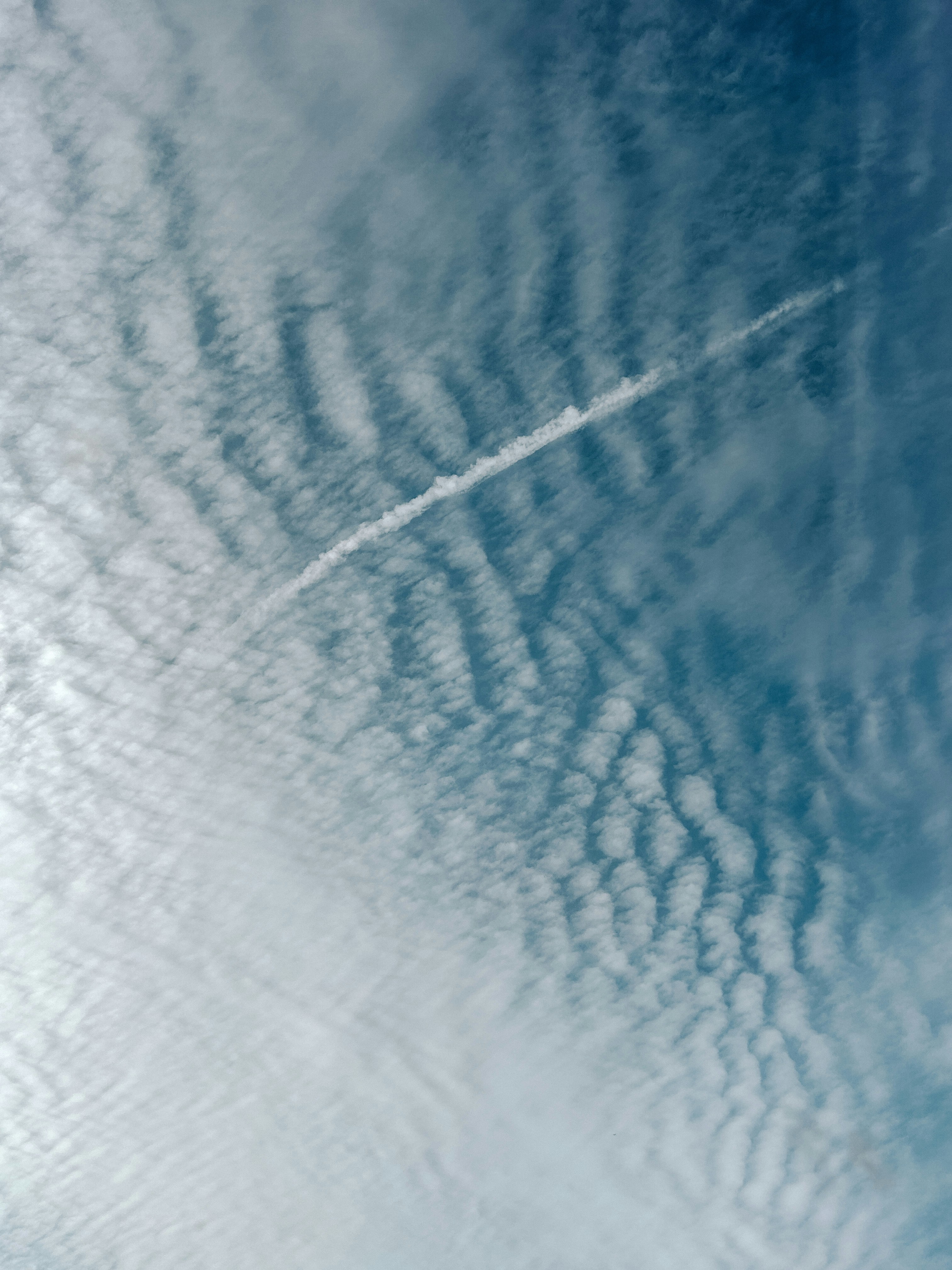 Whispers of the Sky: A Cloud Symphony