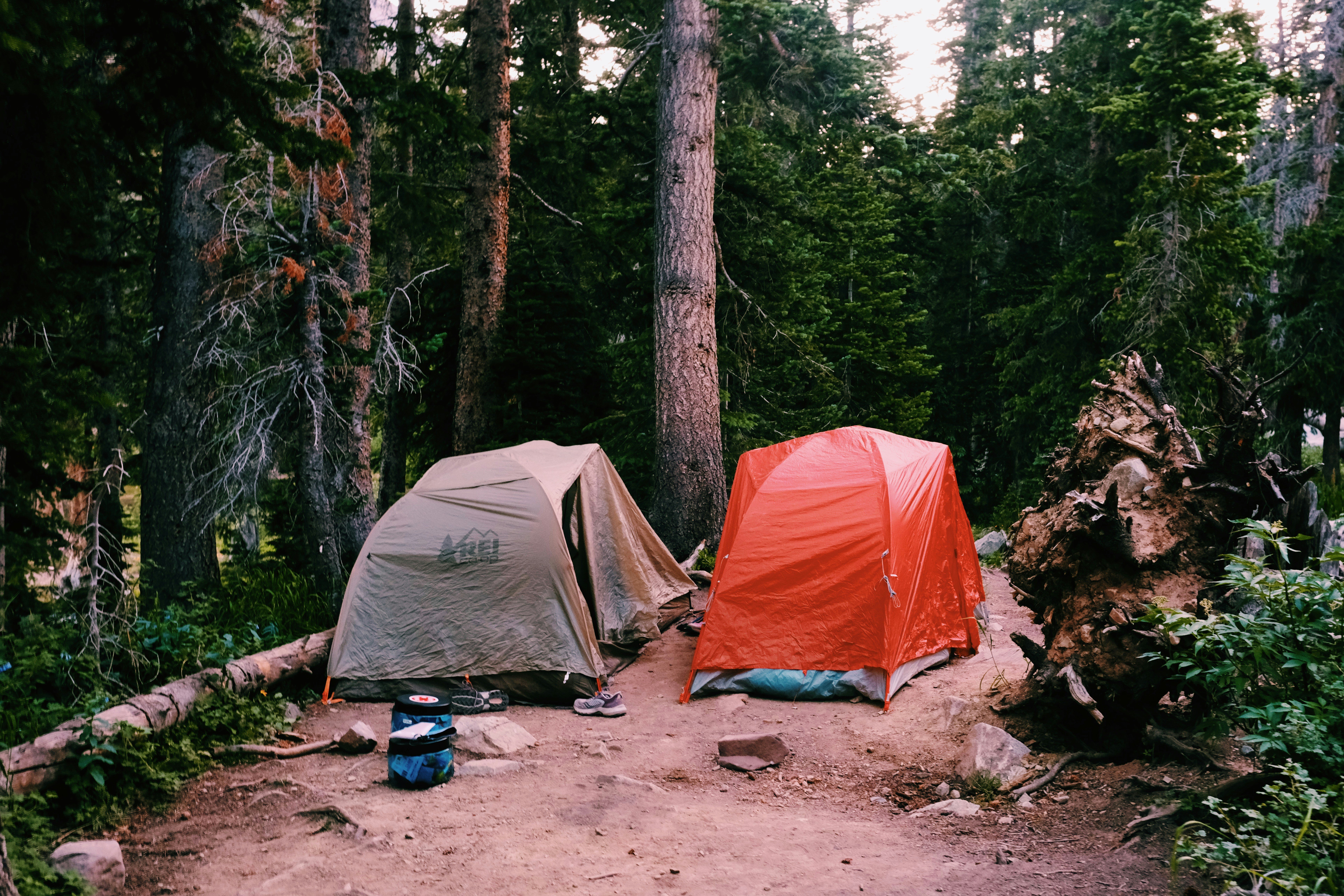 Whispers of the Wilderness: A Campsite Retreat
