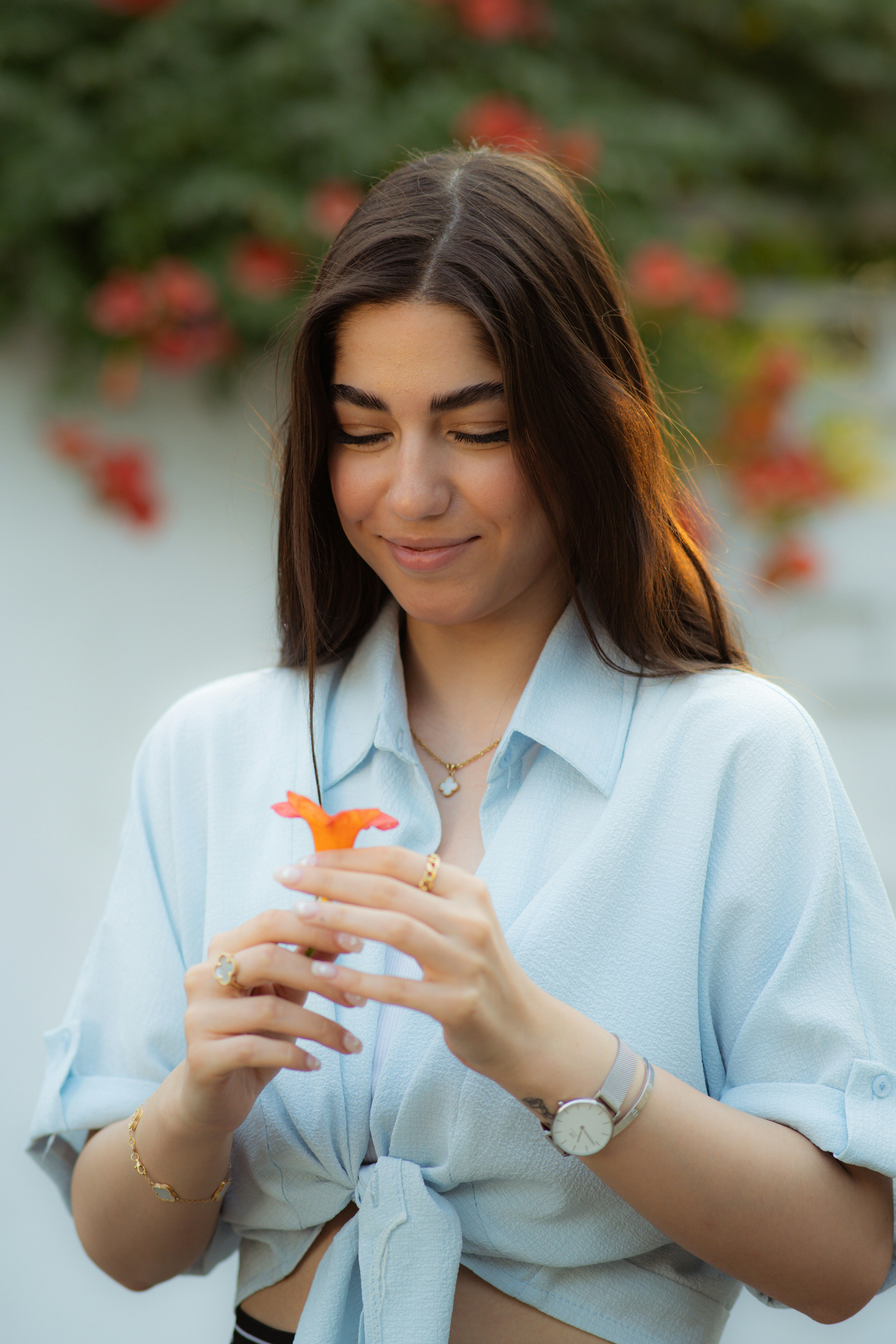 Quiet Bloom Portrait: Sunlit Calm with a Coral Blossom