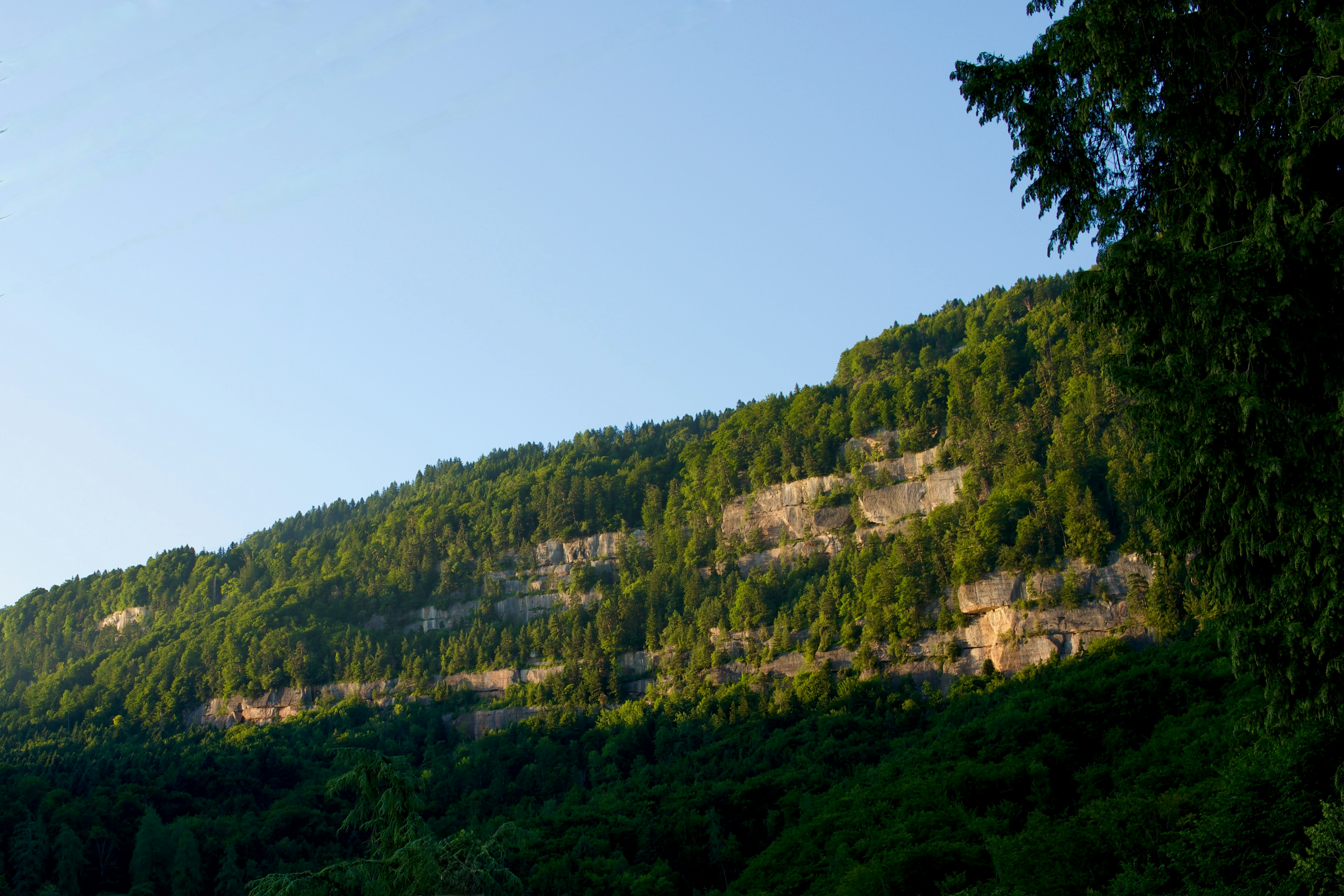 Lush green cliffs rise majestically against a clear blue sky, showcasing the interplay of light and shadow on the rocky terrain.