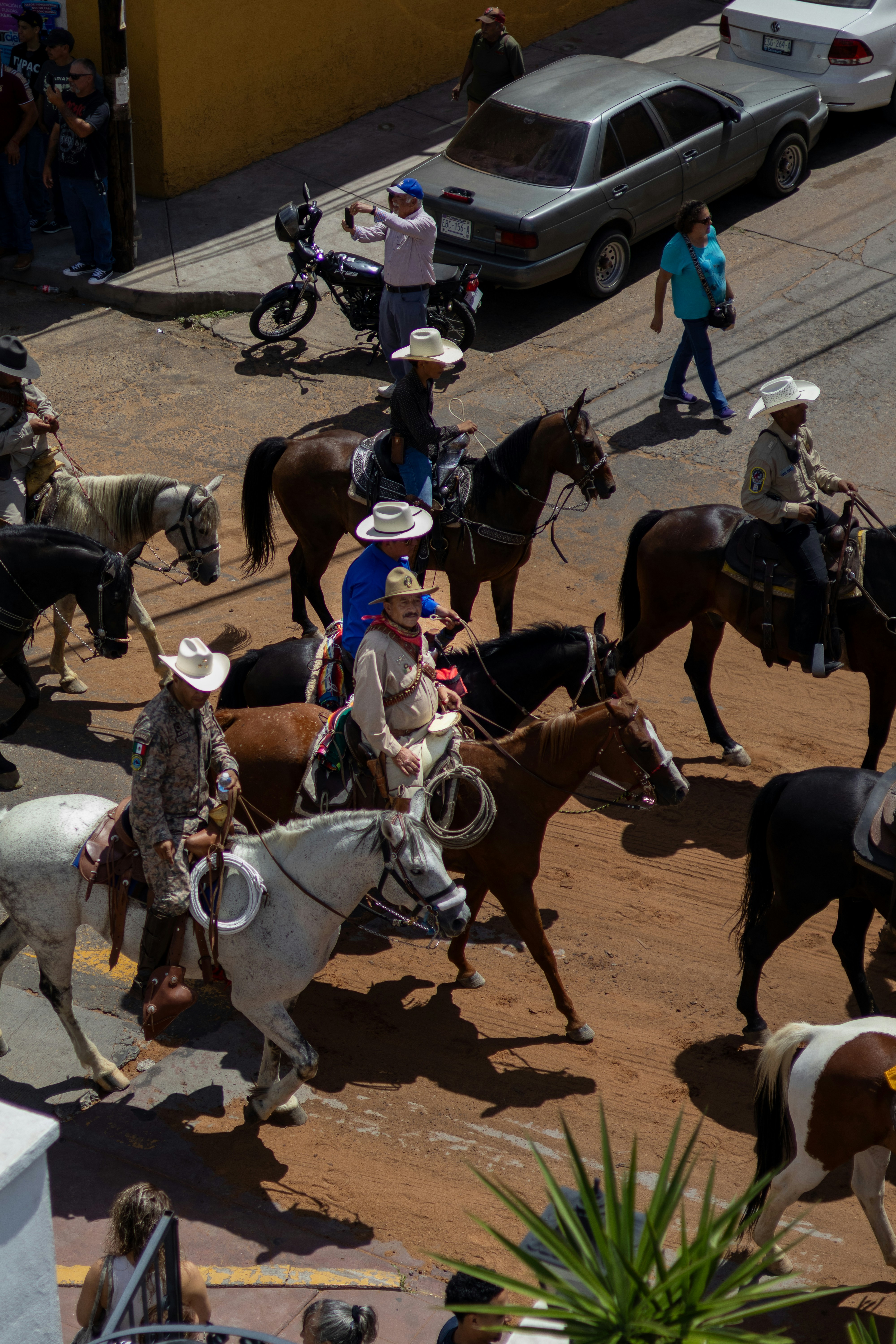 Equestrian Parade Through Urban Streets