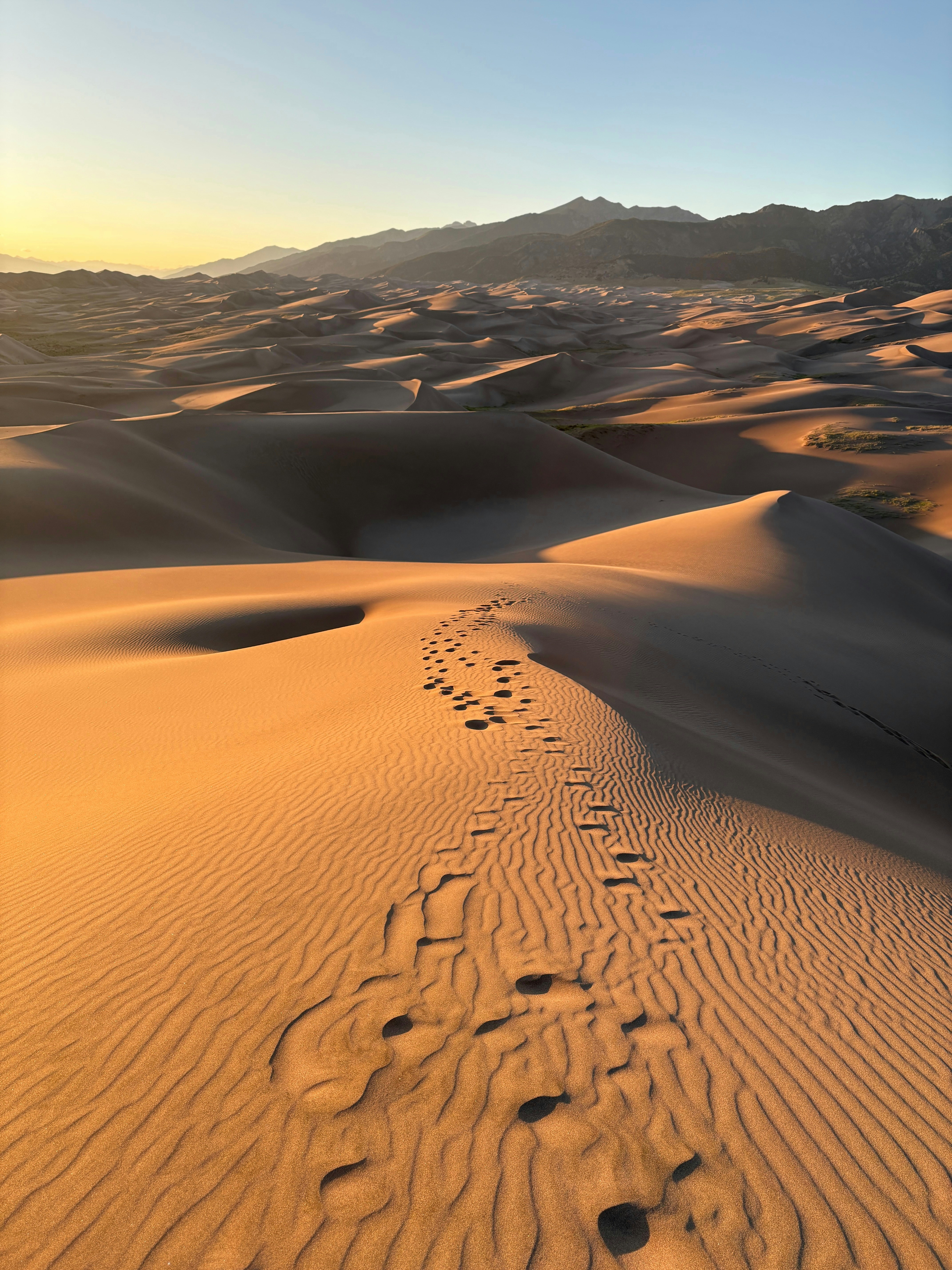 Footprints trail across golden sand dunes under a warm sunset, revealing the untouched beauty of the desert landscape.