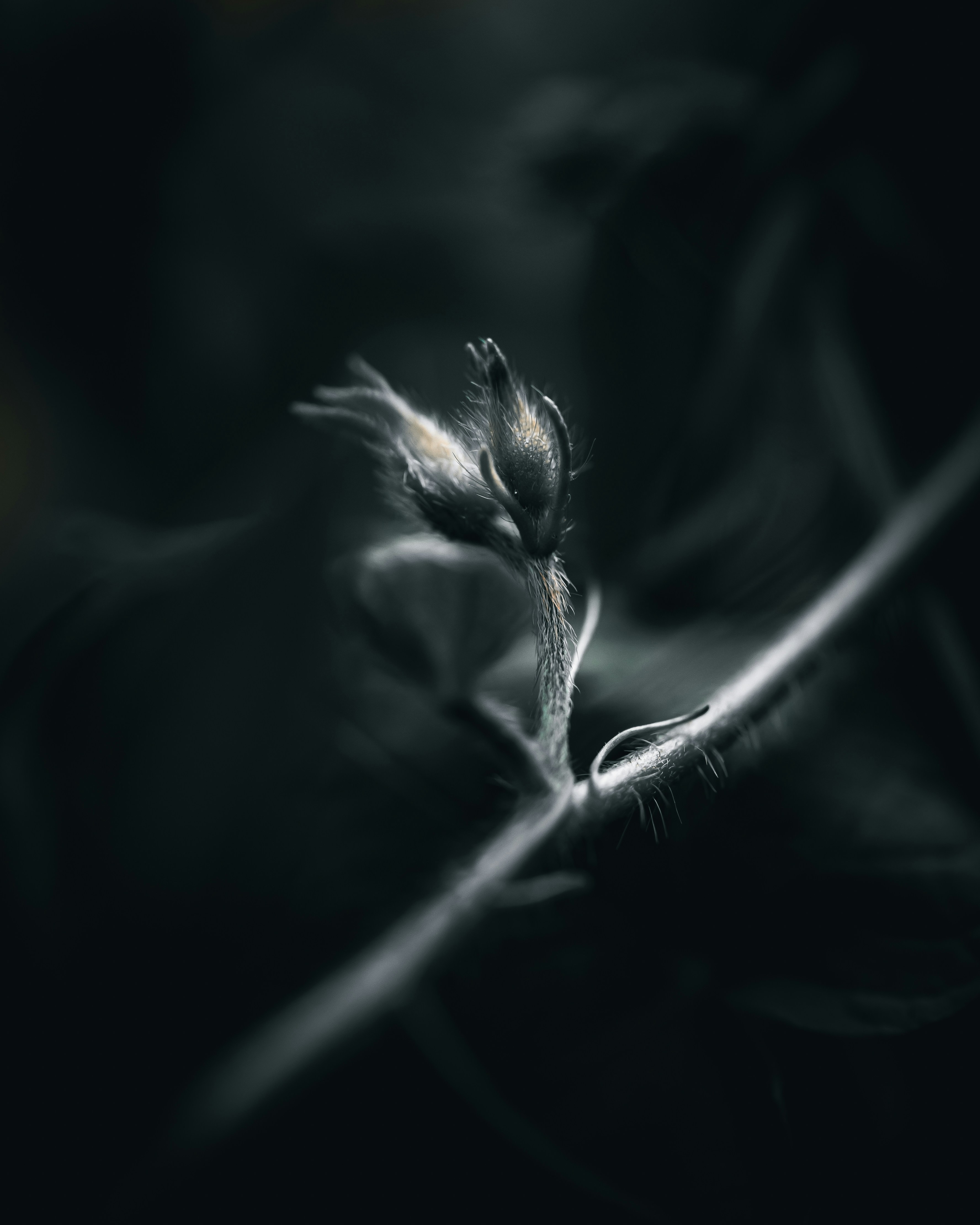 Jason D (@jasondeblooisphotography) | Unsplashフォトコミュニティ