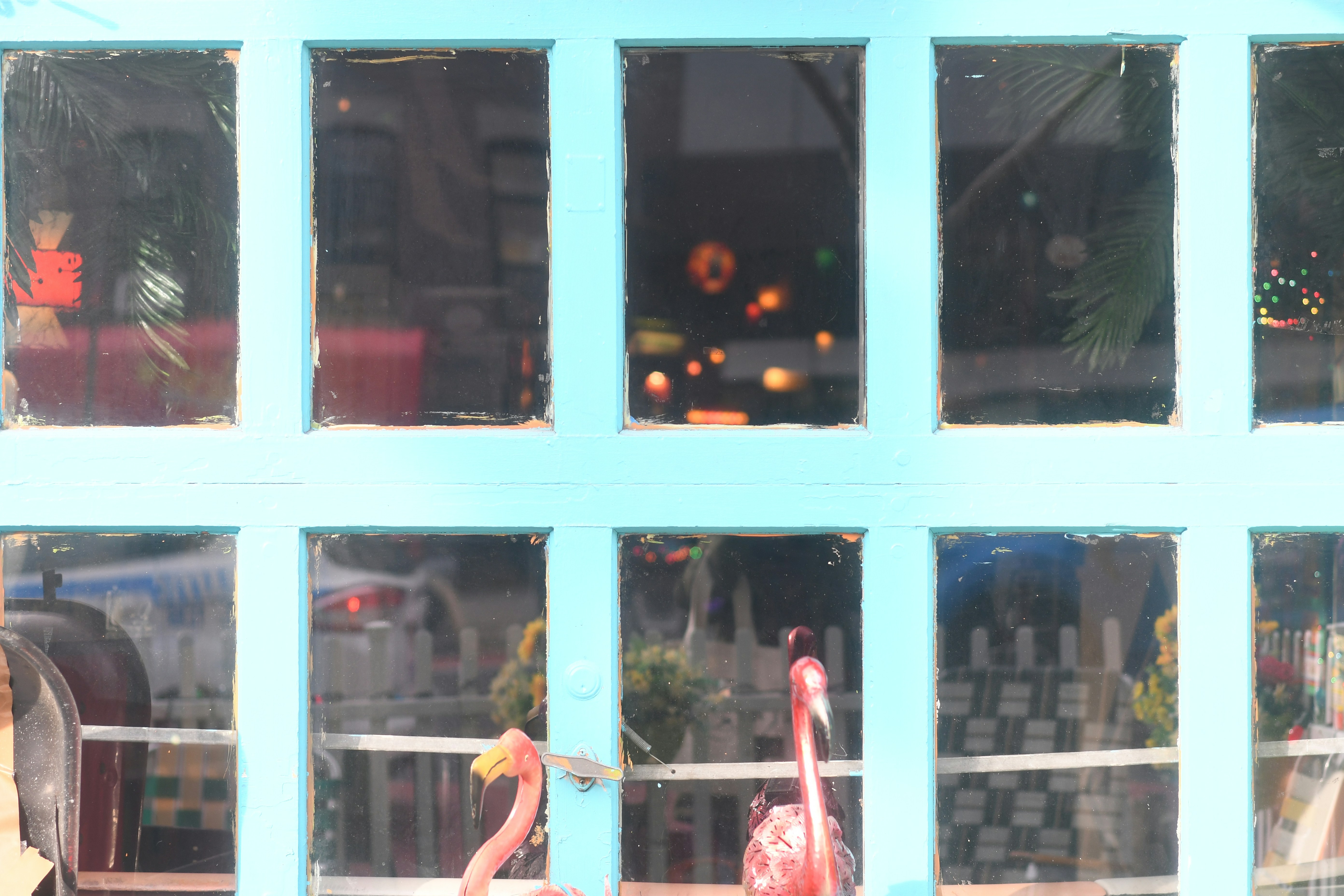 Pastel Panes and a Flamingo: A Turquoise Café Window Portrait