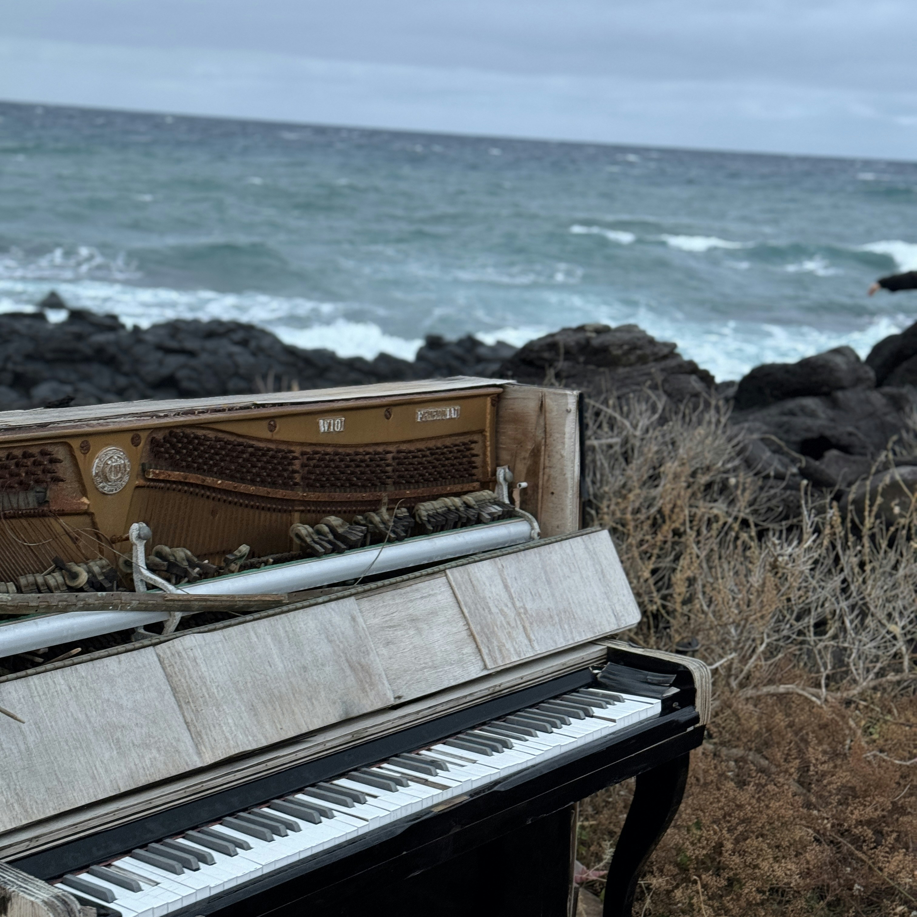 A piano sits by the rugged, wild ocean.