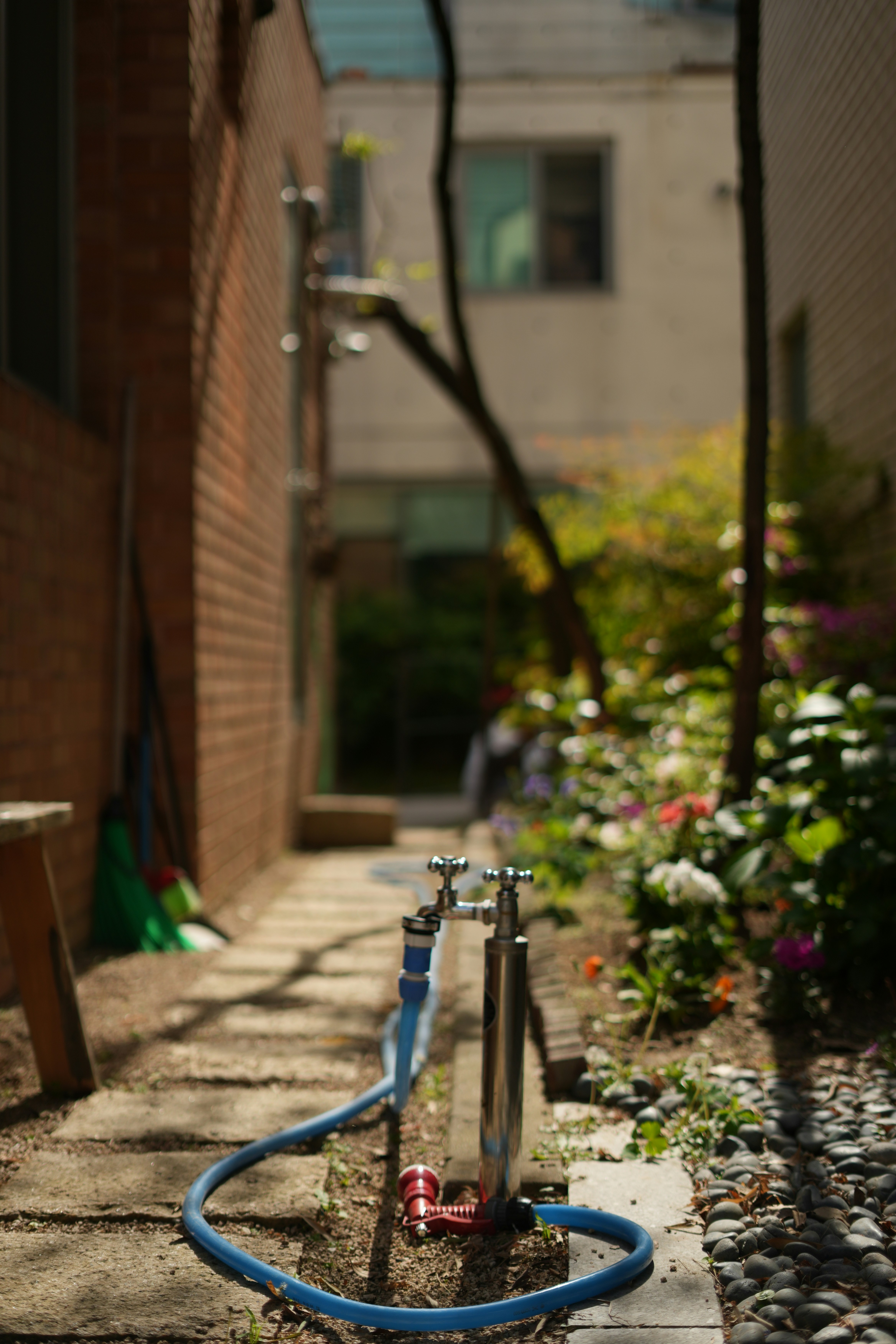 Garden hose and tap sit in a narrow walkway.