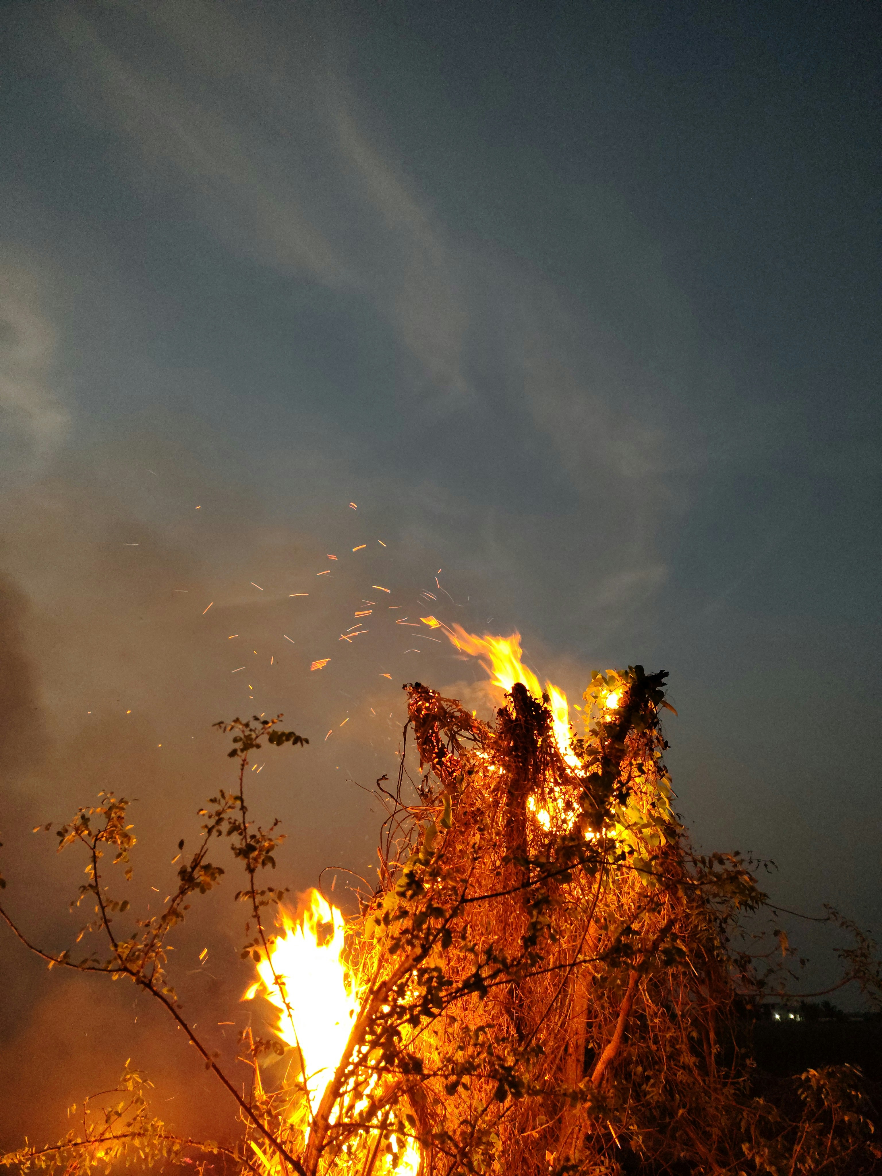 Sample photo from Motorola Edge 50 Fusion