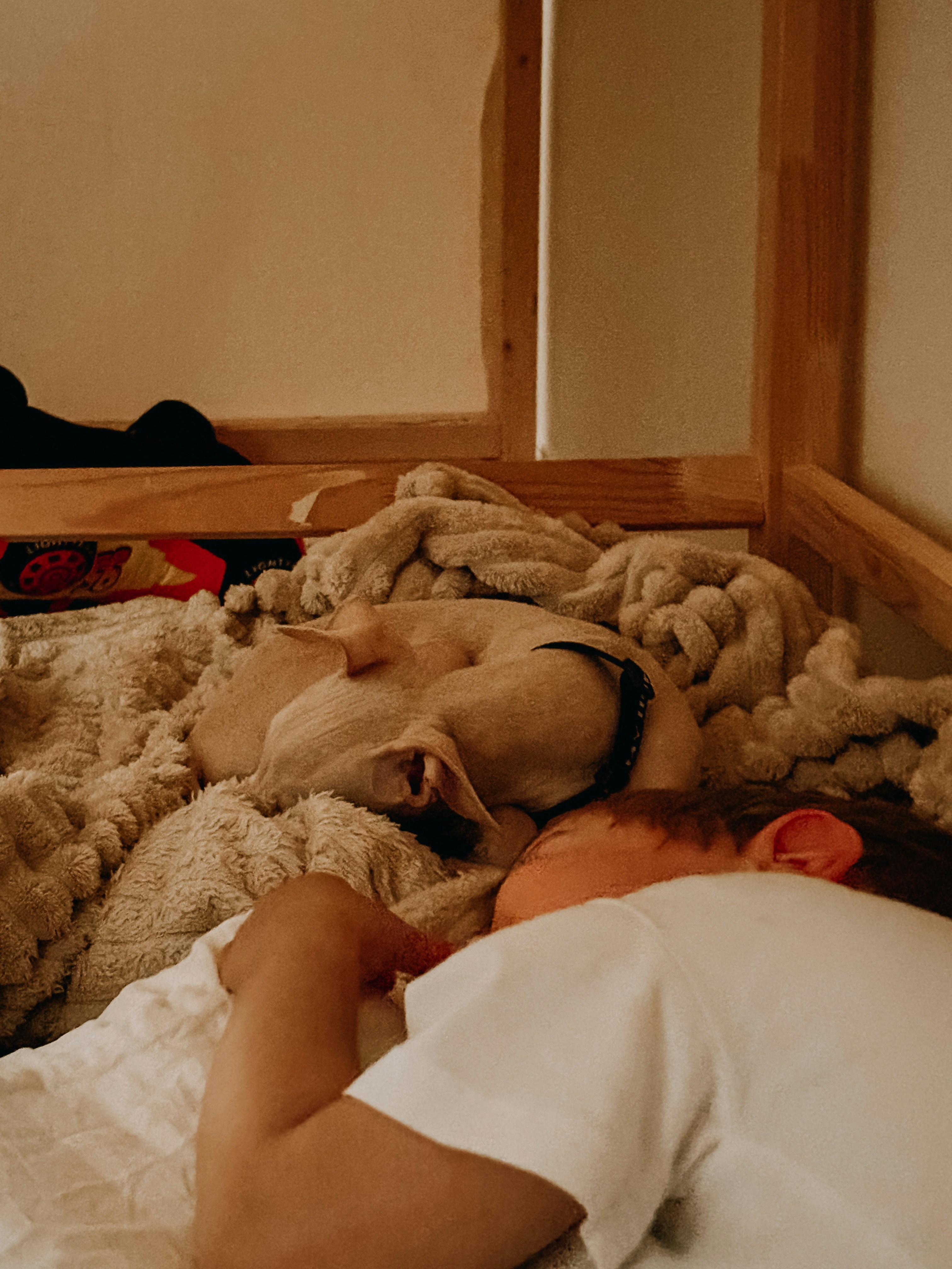 Kid | A child and dog sleep together on a bed.