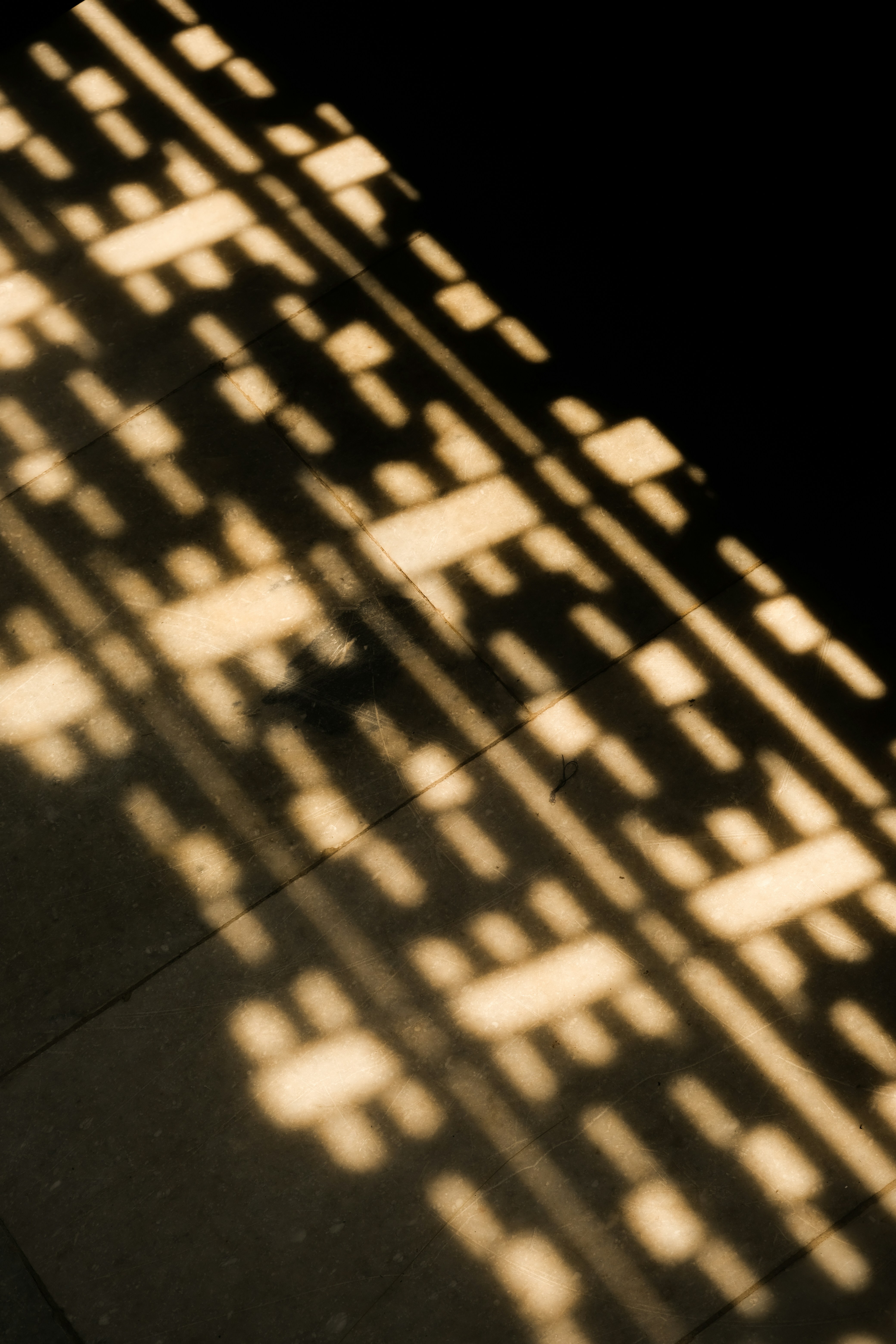 Intricate shadows cast on a surface, creating a dynamic interplay of light and geometric shapes. The scene captures the essence of natural illumination.