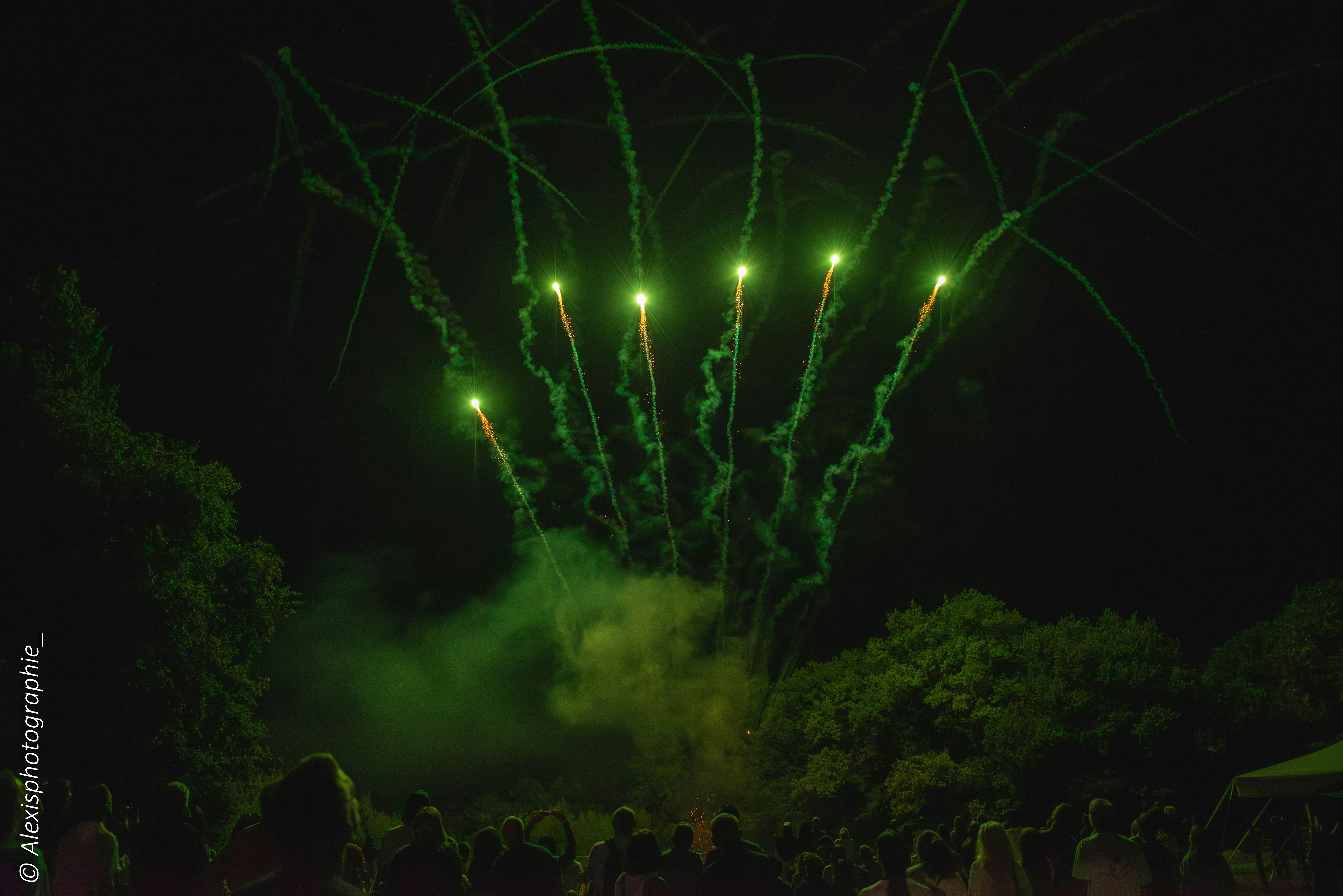 Emerald Trails in the Night Sky