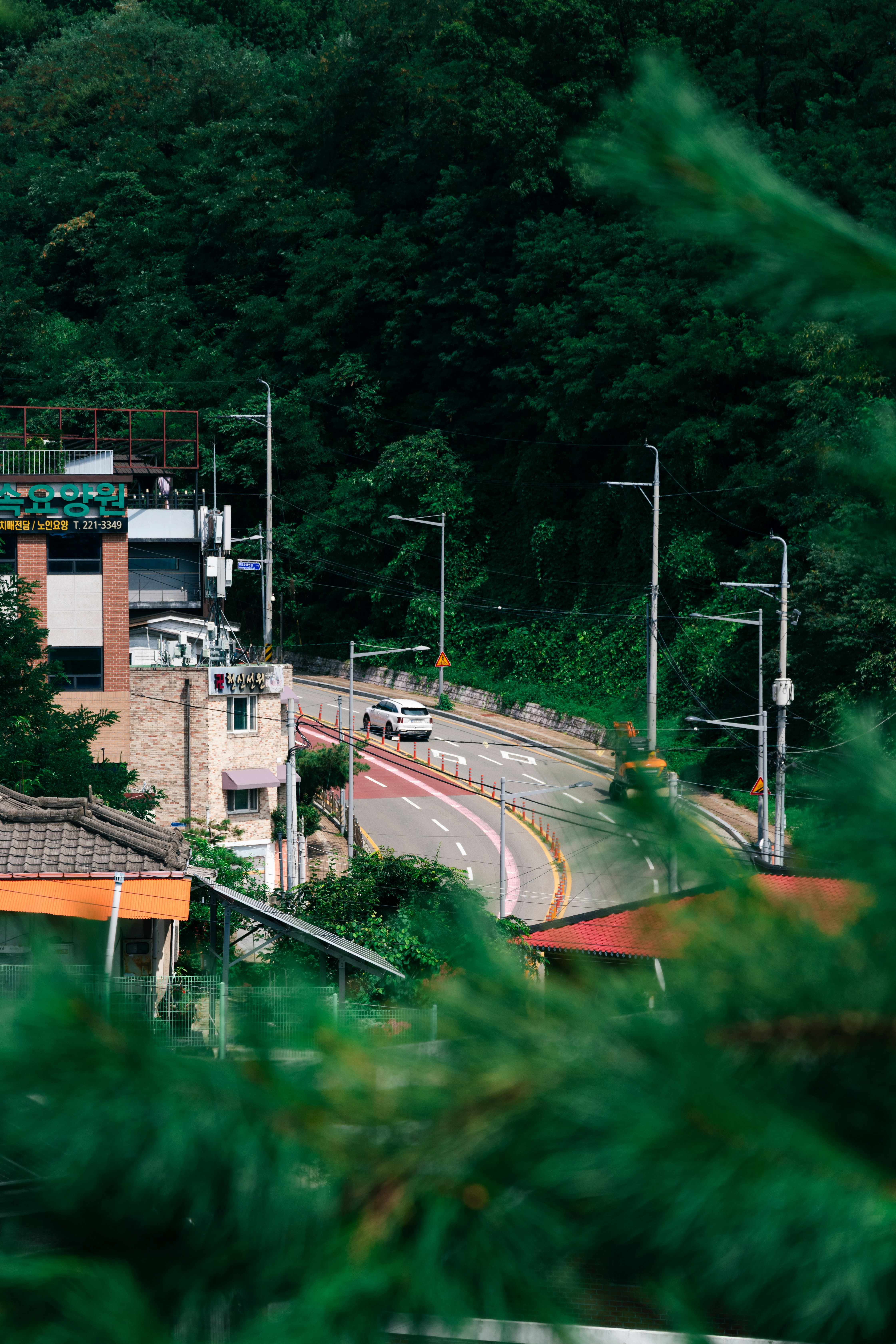 Urban Serenity: A Glimpse Through the Green