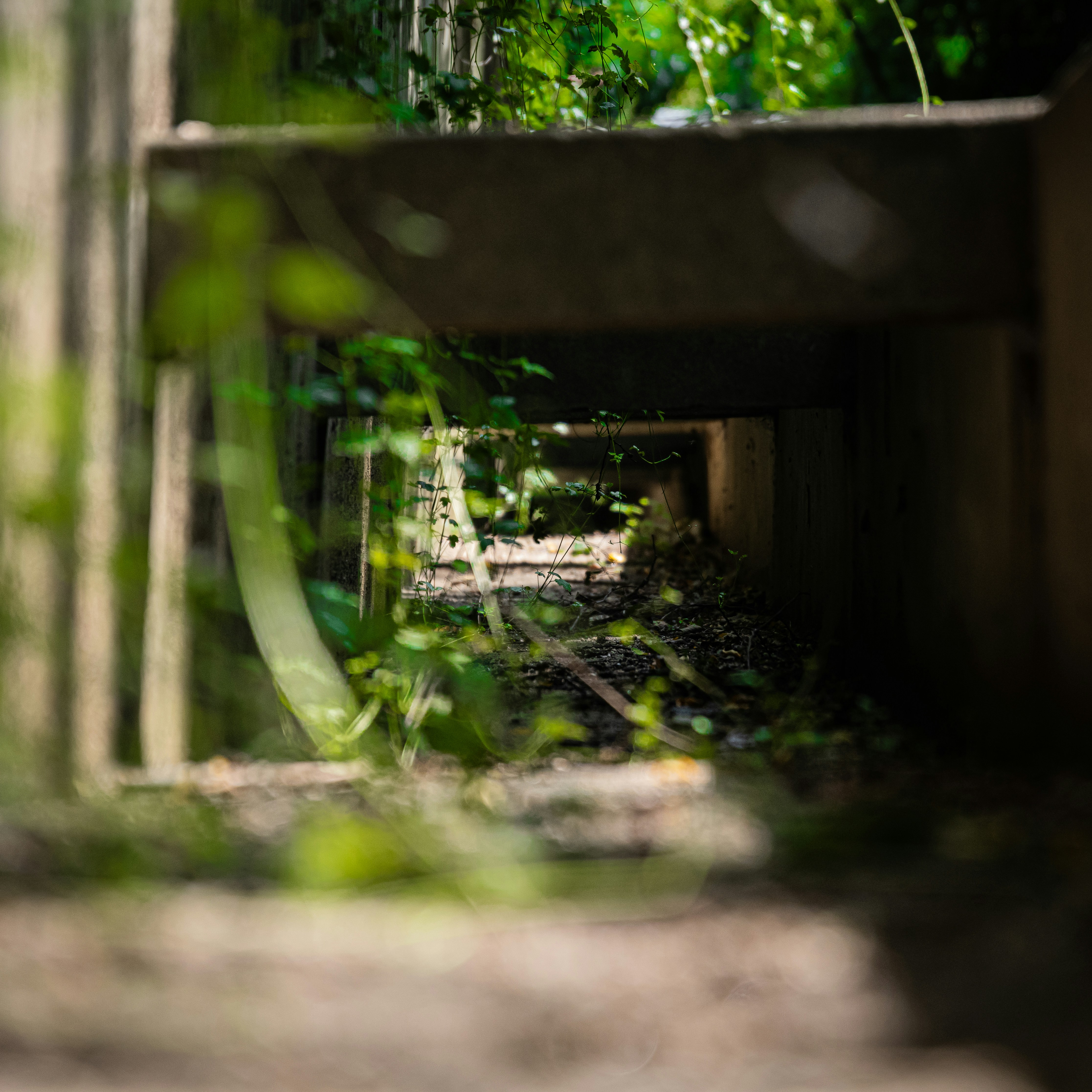 Looking through a tunnel of concrete.