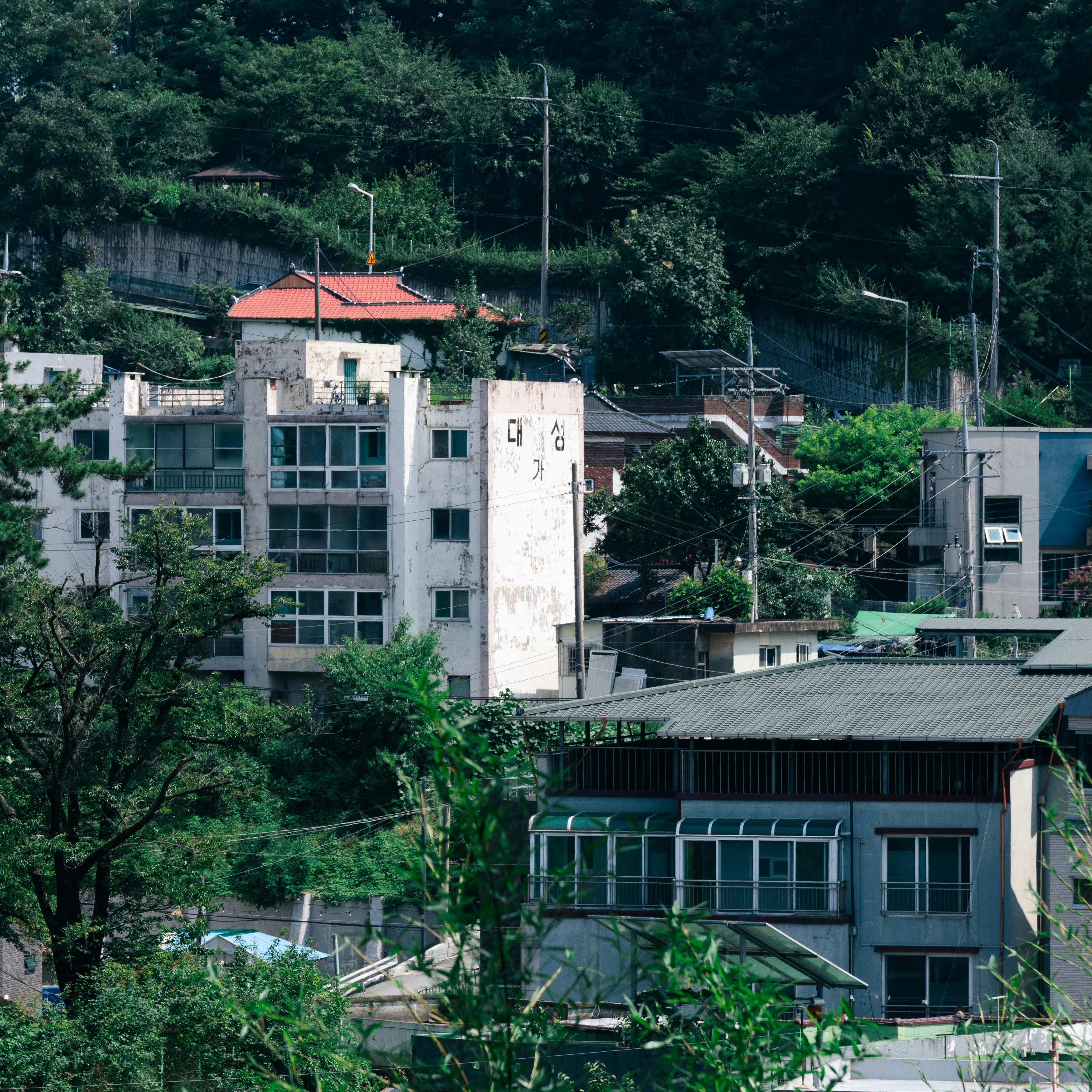 A cluster of buildings nestled among lush greenery, showcasing the harmonious coexistence of urban life and nature.