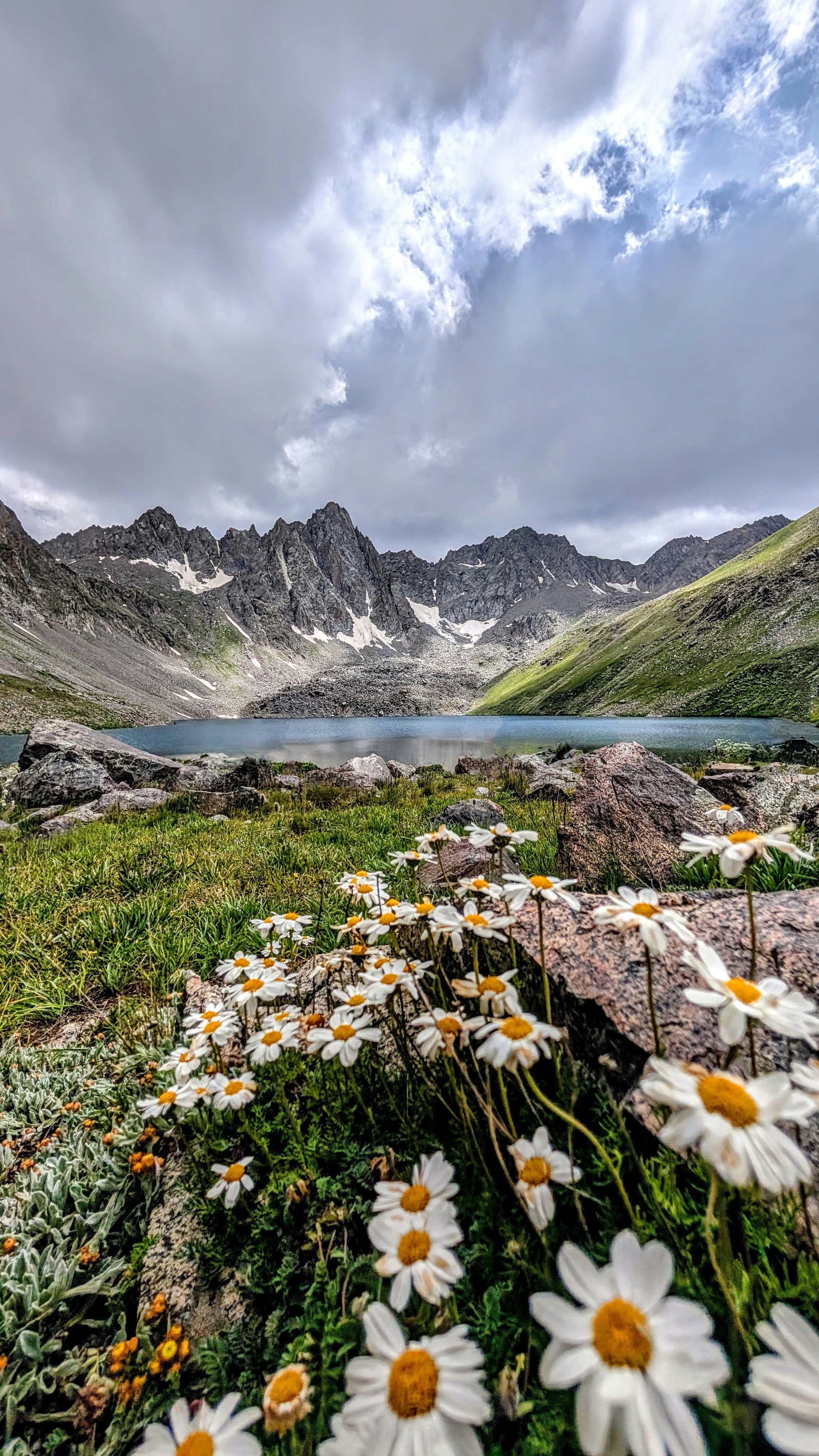 Mountains, lake, and wildflowers under a cloudy sky.