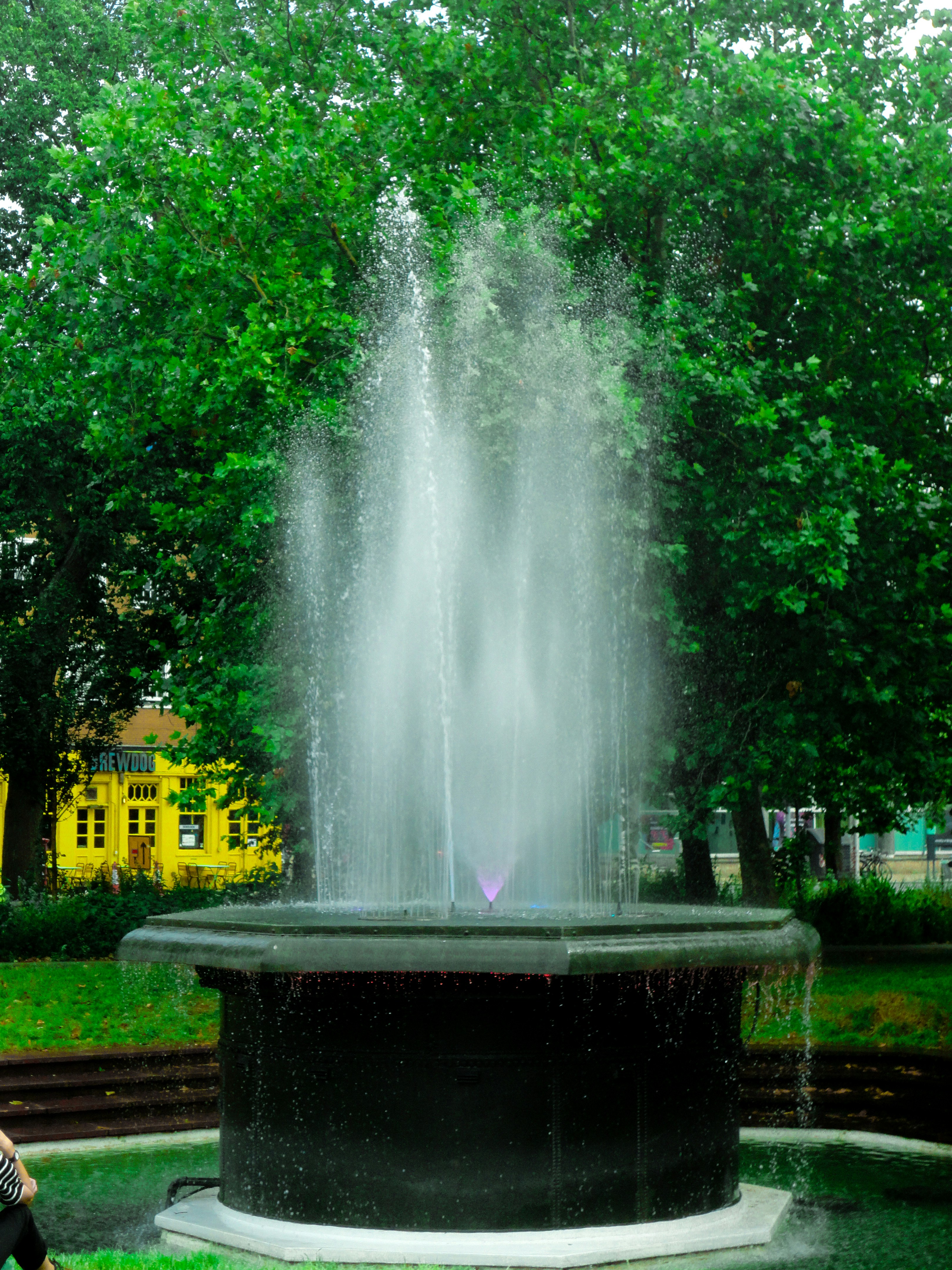 A beautiful fountain sprays high into the air.