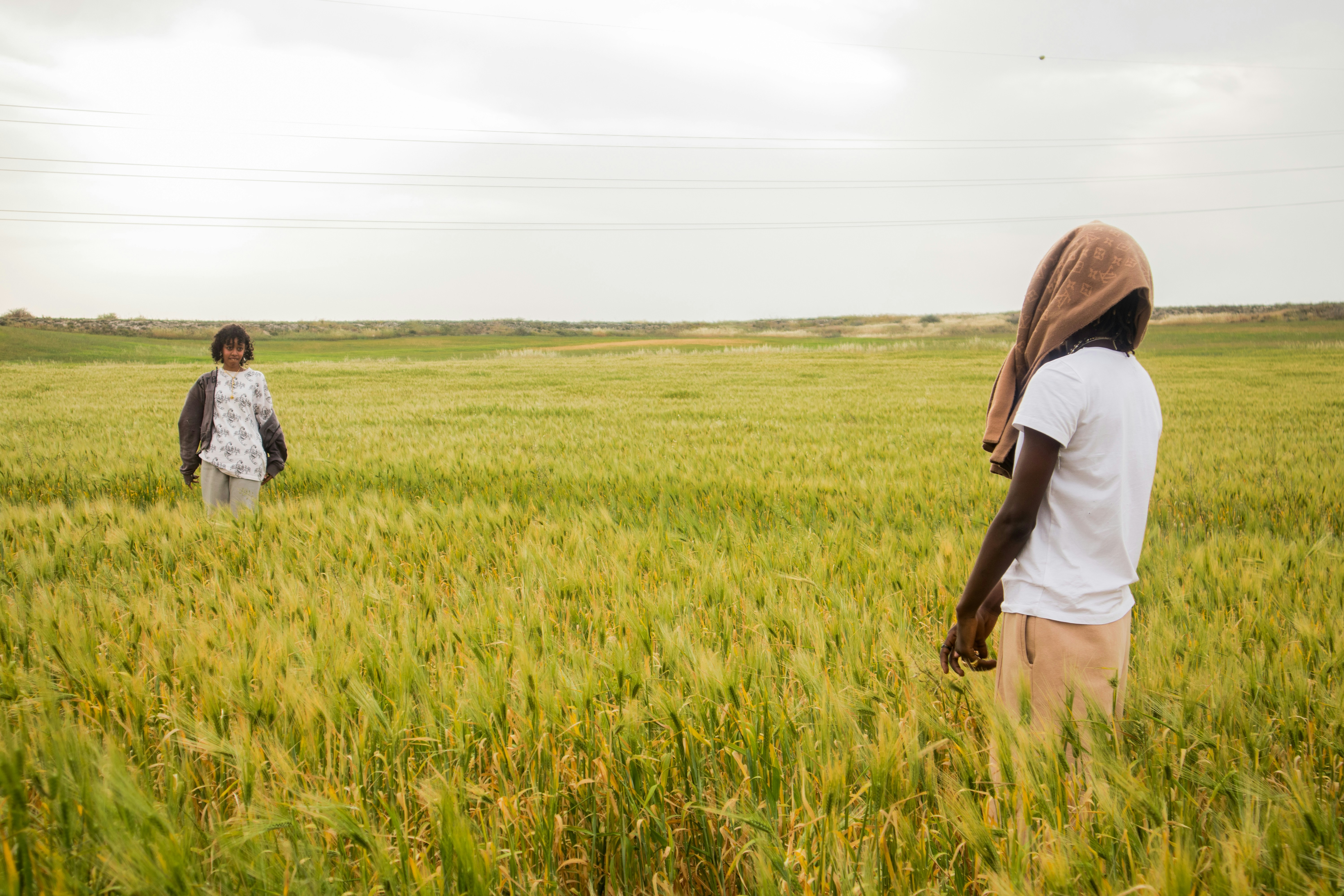 Two individuals stand in a vast wheat field, engaging in a moment of connection amidst the golden waves of grain.