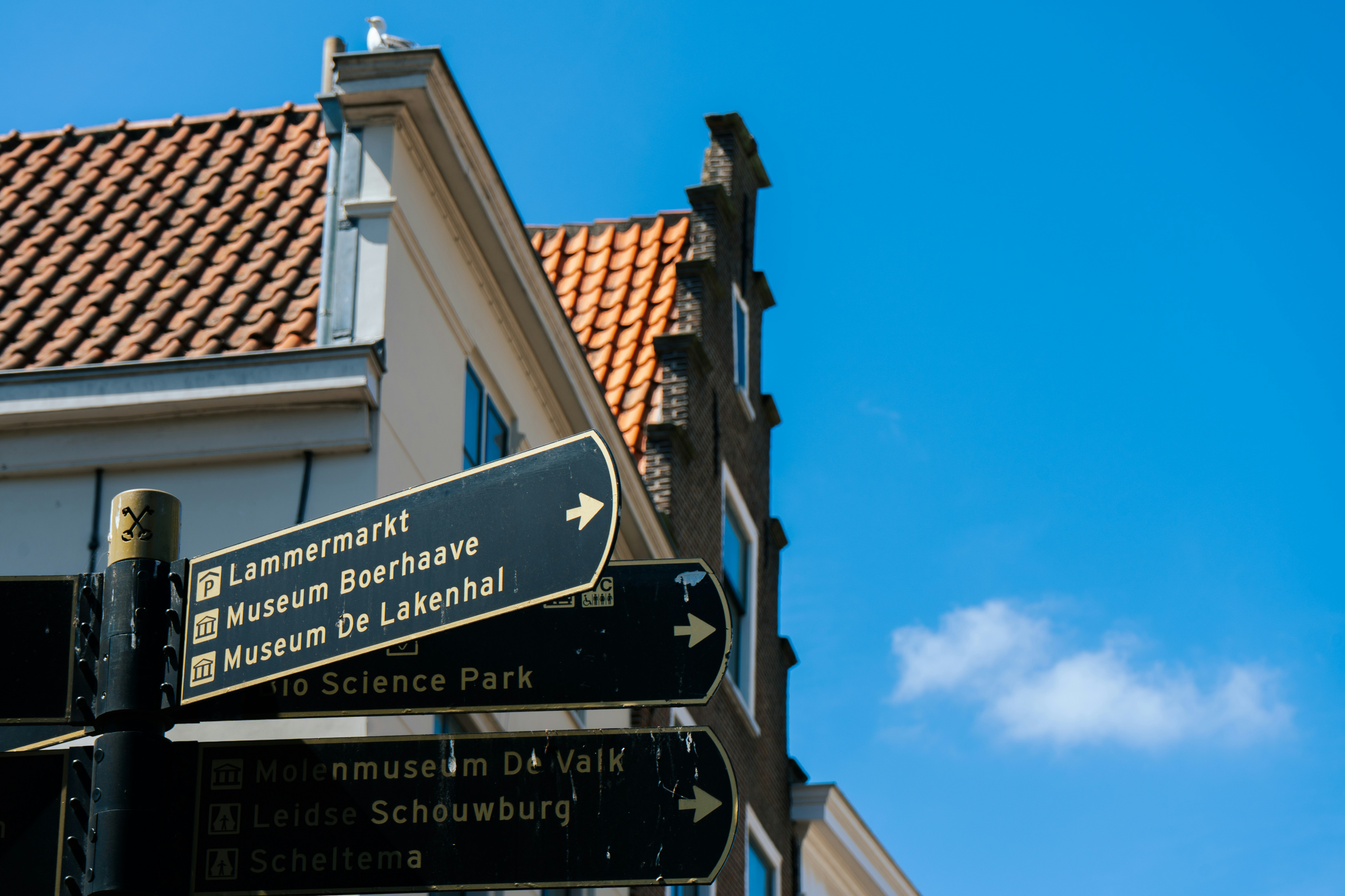 Navigational Crossroads: A Glimpse of Cultural Pathways