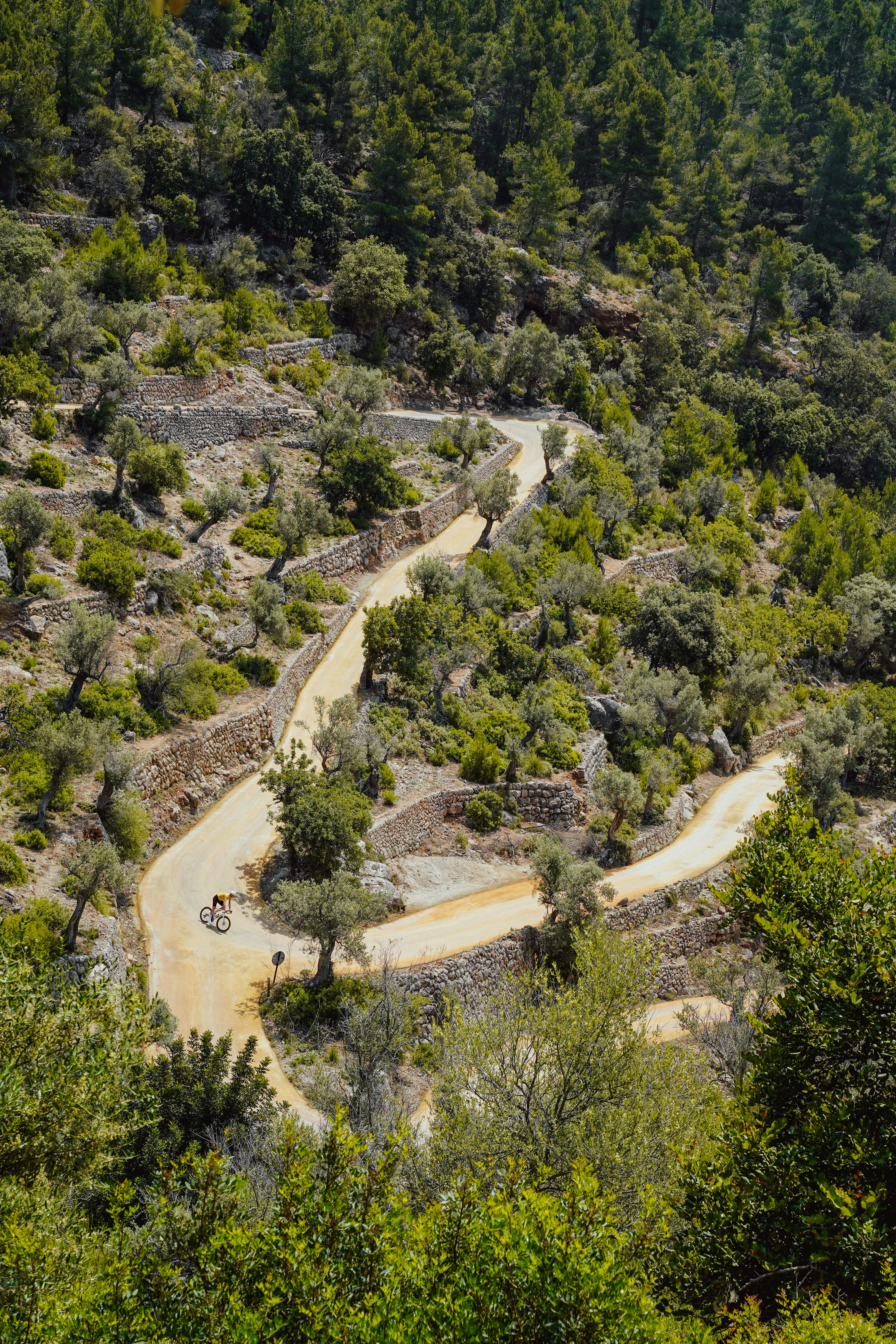 A winding road weaves through a hilly landscape.