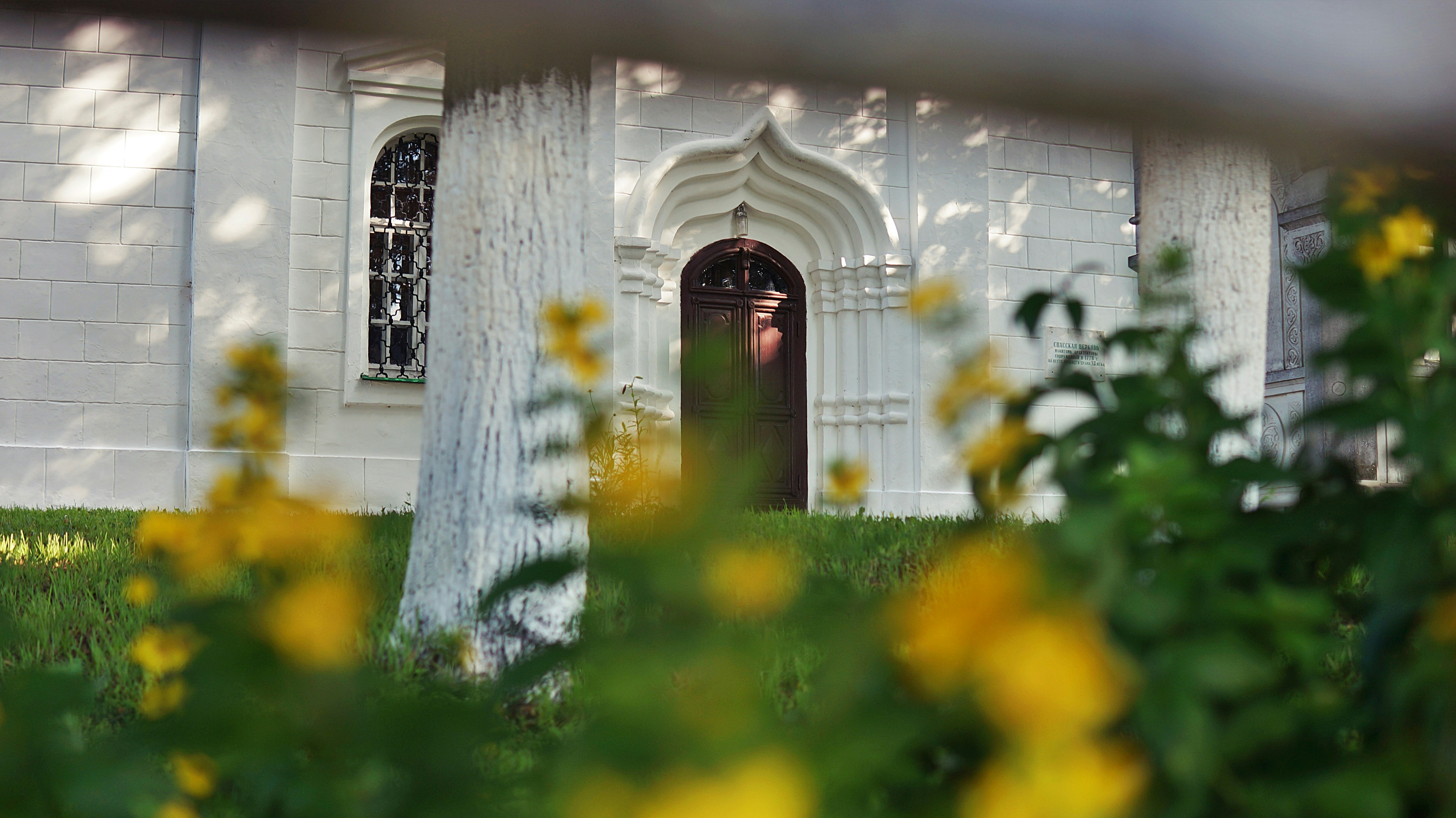 Whispers of Nature at the Threshold