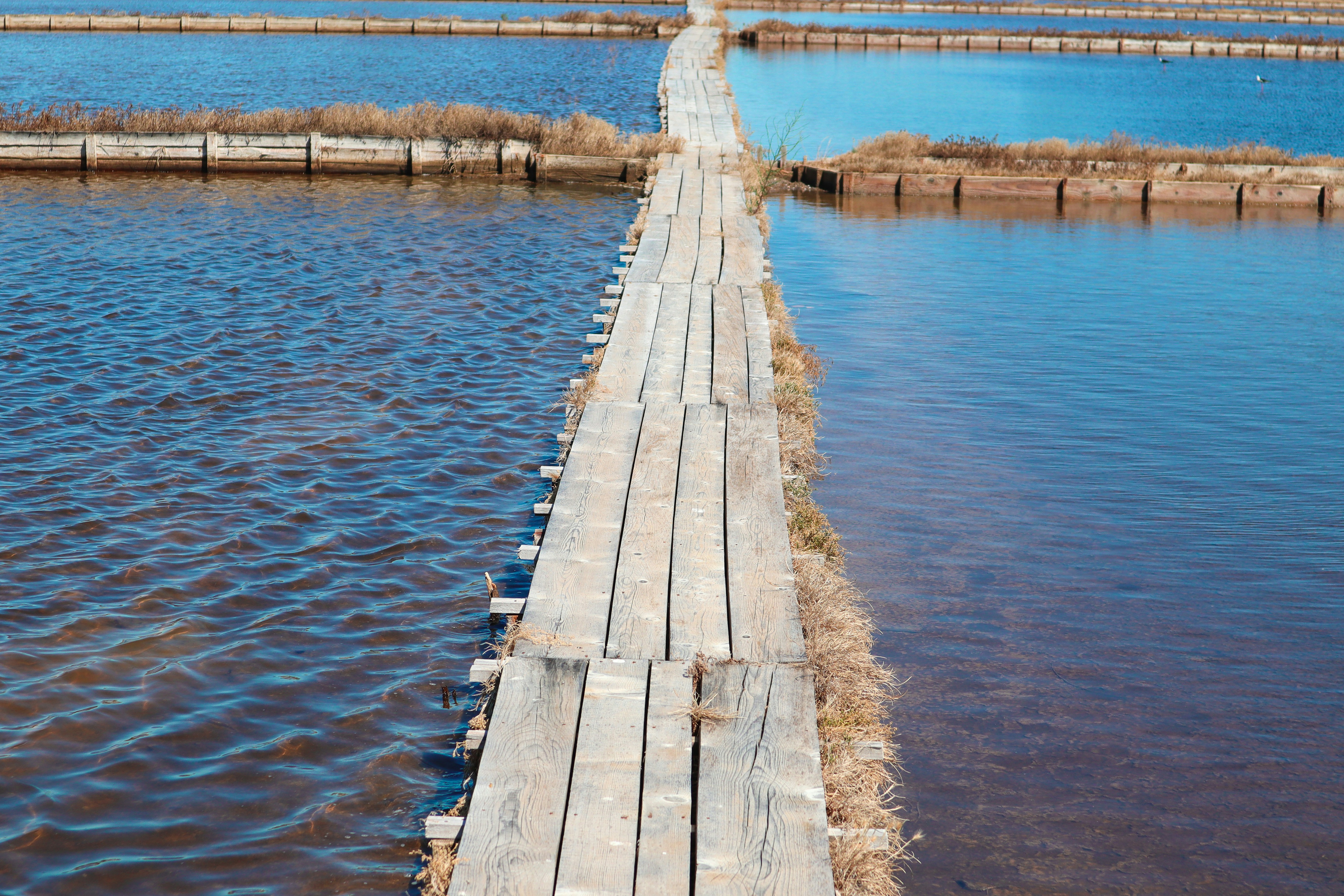 Wooden path leads through salt ponds.