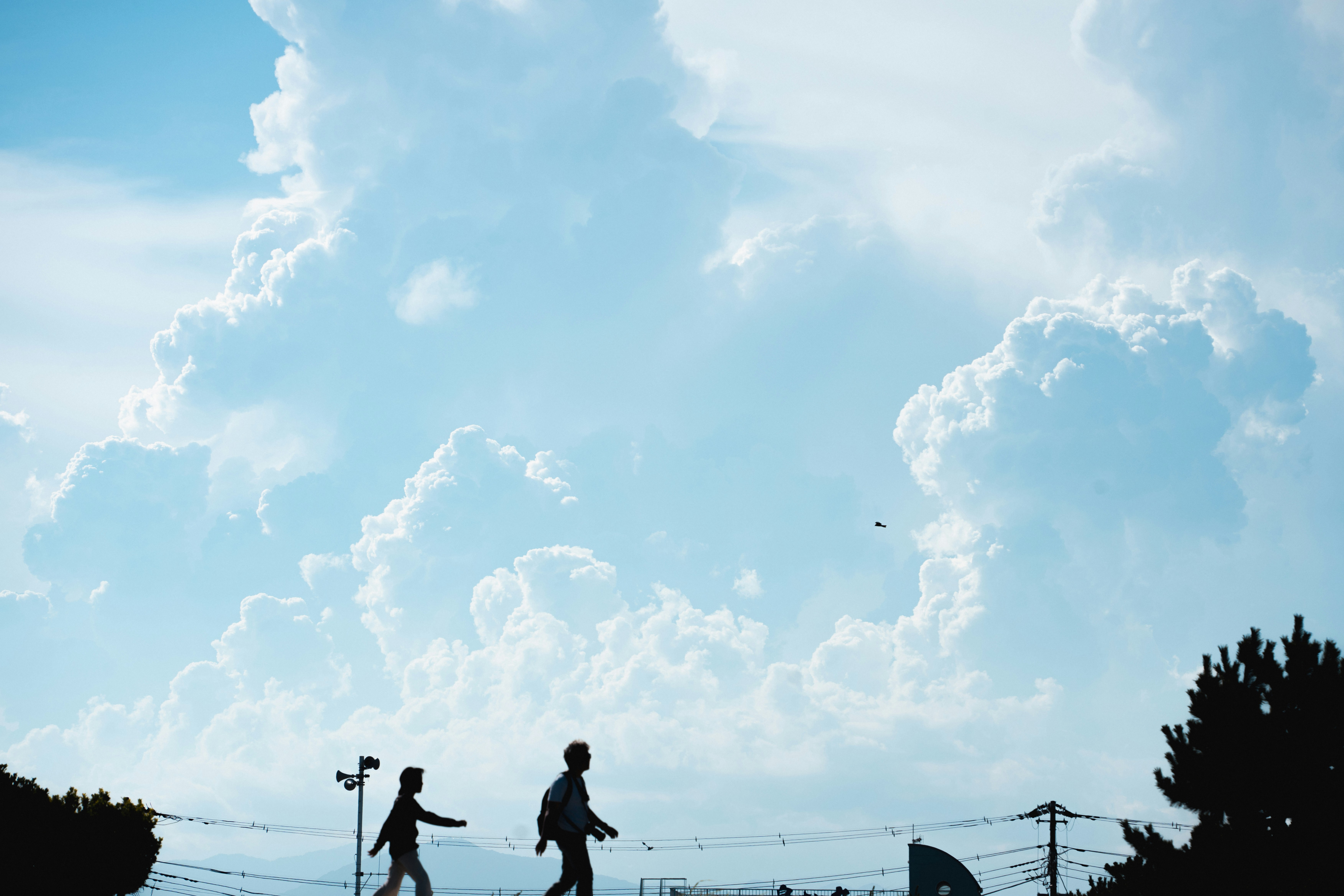 Silhouetted Surfers Against a Skyward Horizon