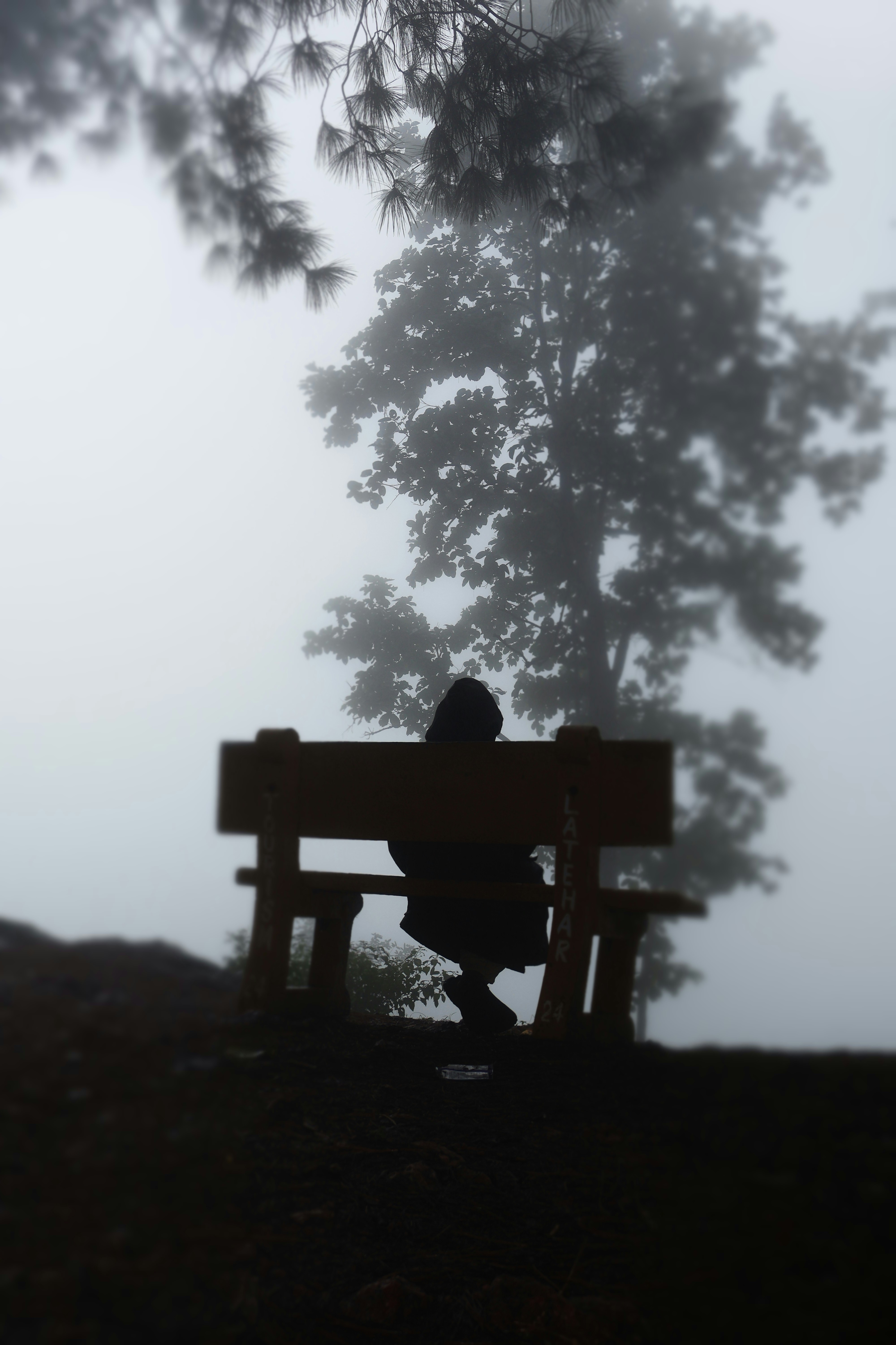 Whispers of Solitude in the Mist