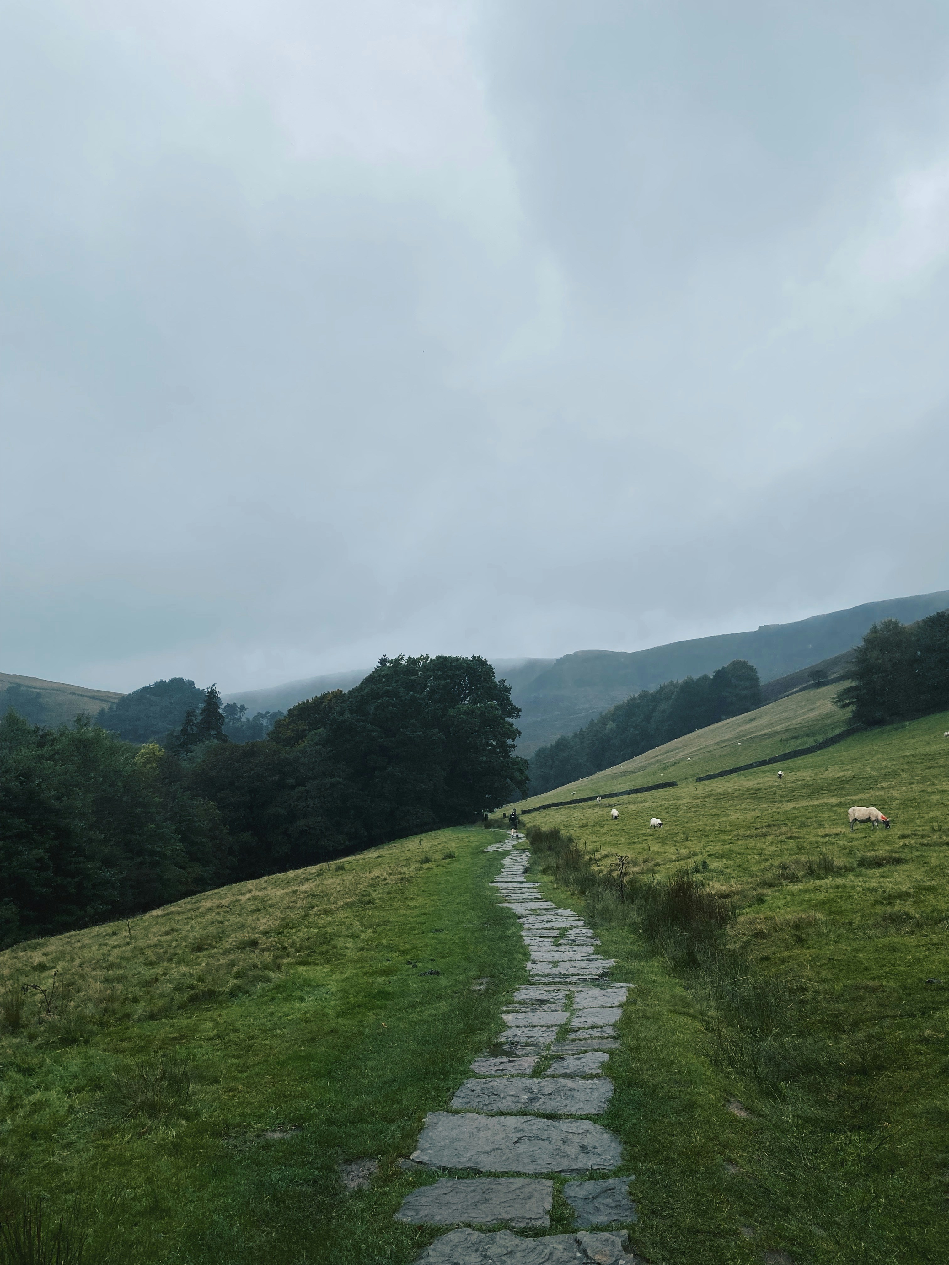 A stone path winds through a green hillside.