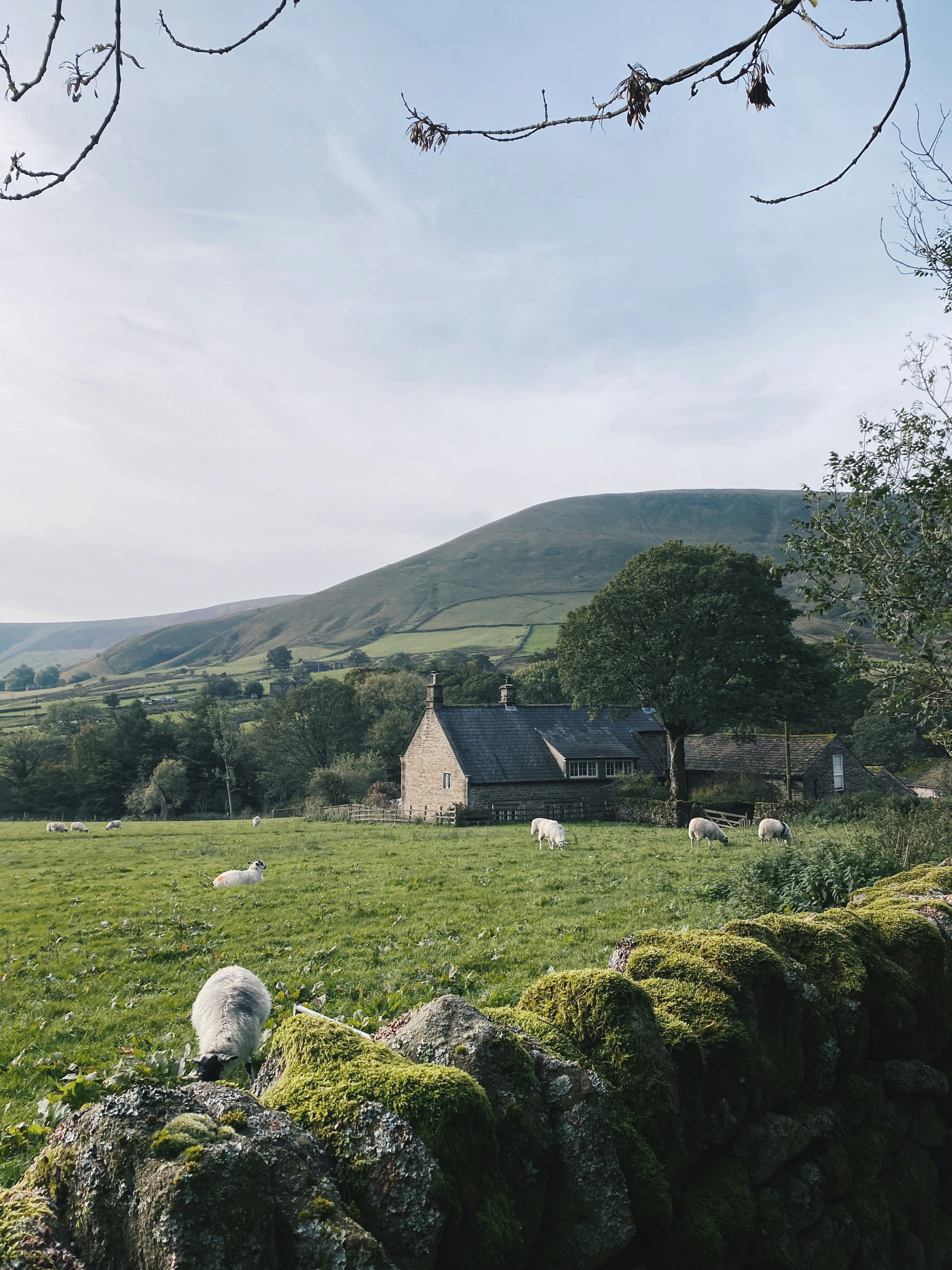 Harmony of Nature and Homestead