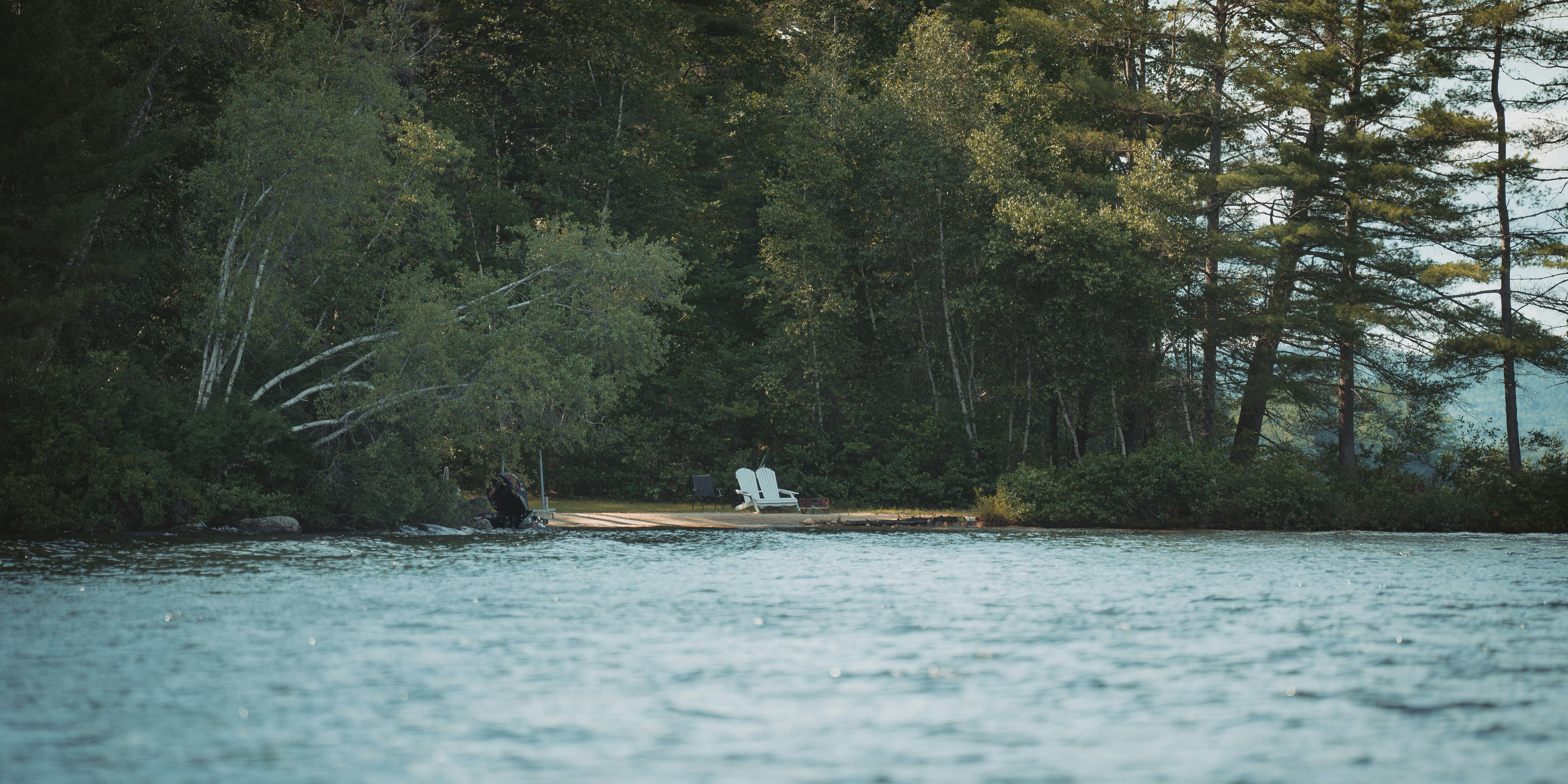 A lakeside view with trees and two chairs.
