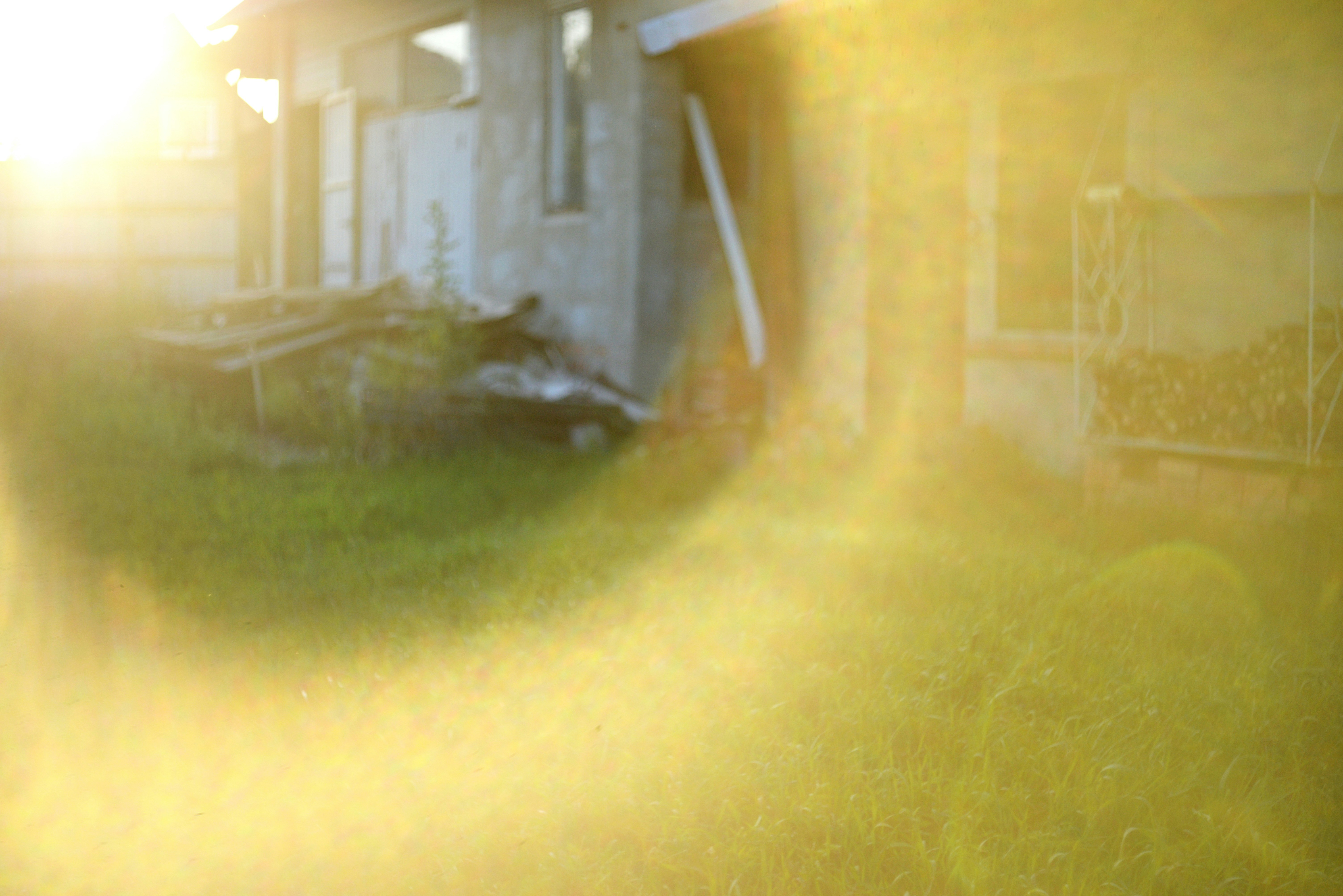 A house is surrounded by golden sunlight.