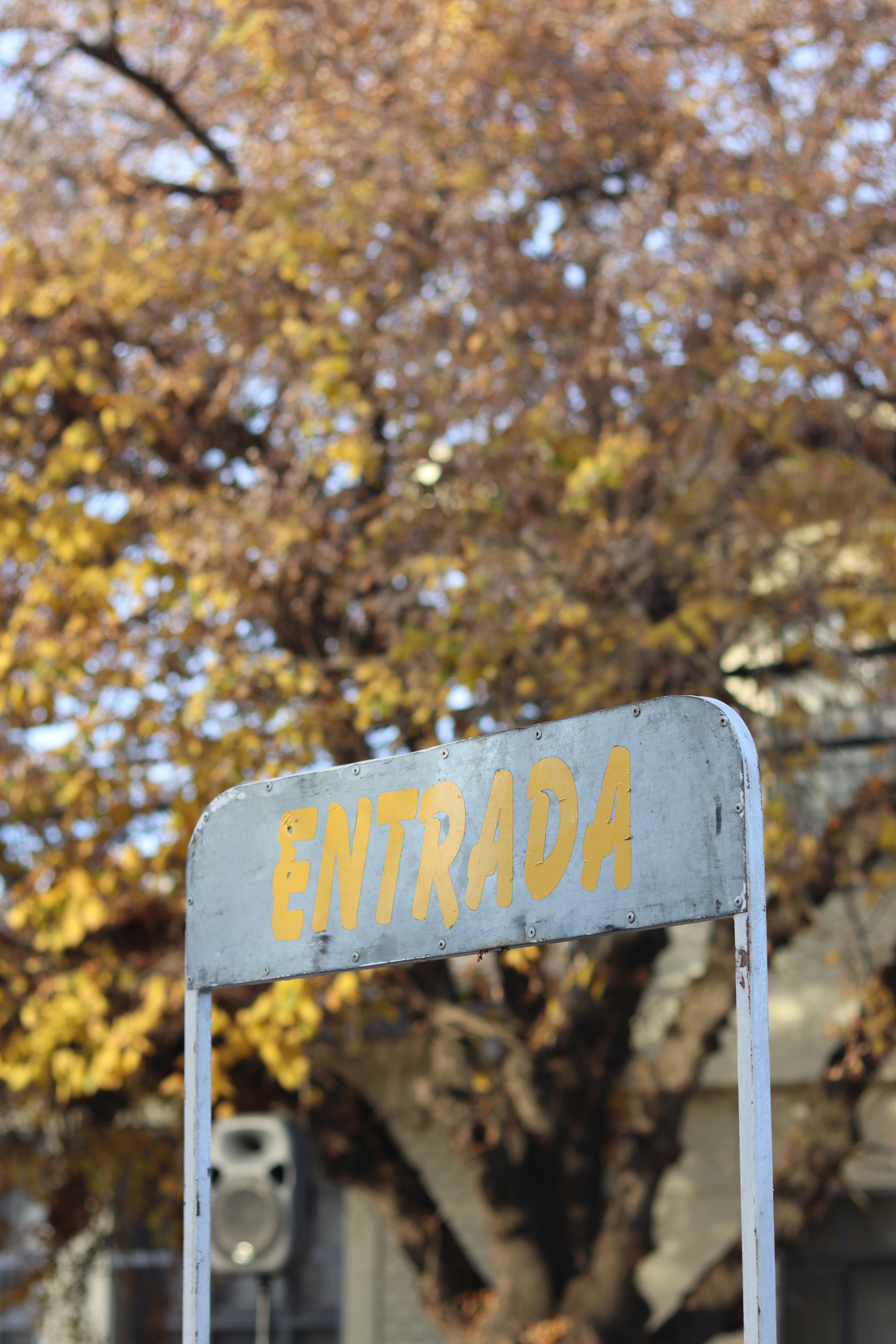 Gateway to Autumn's Embrace